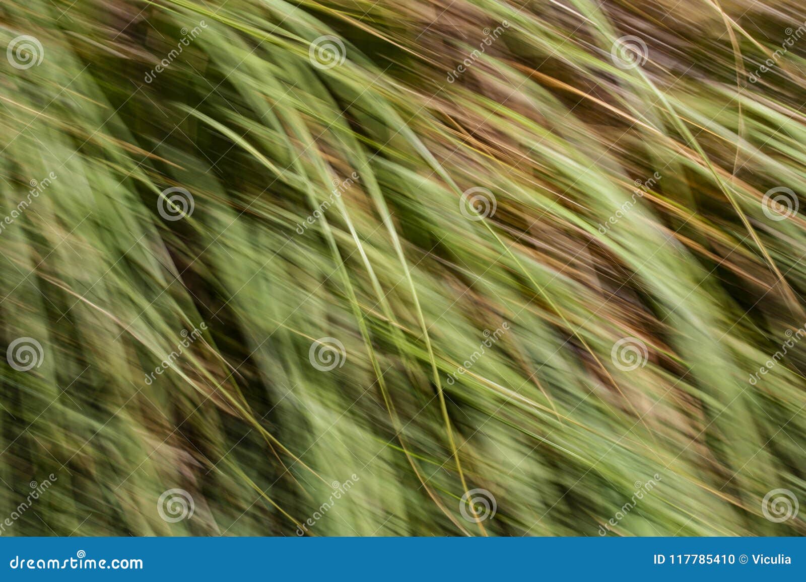 Spring Blurred Leaves. Abstract Motion Blur Effect Stock Photo - Image ...