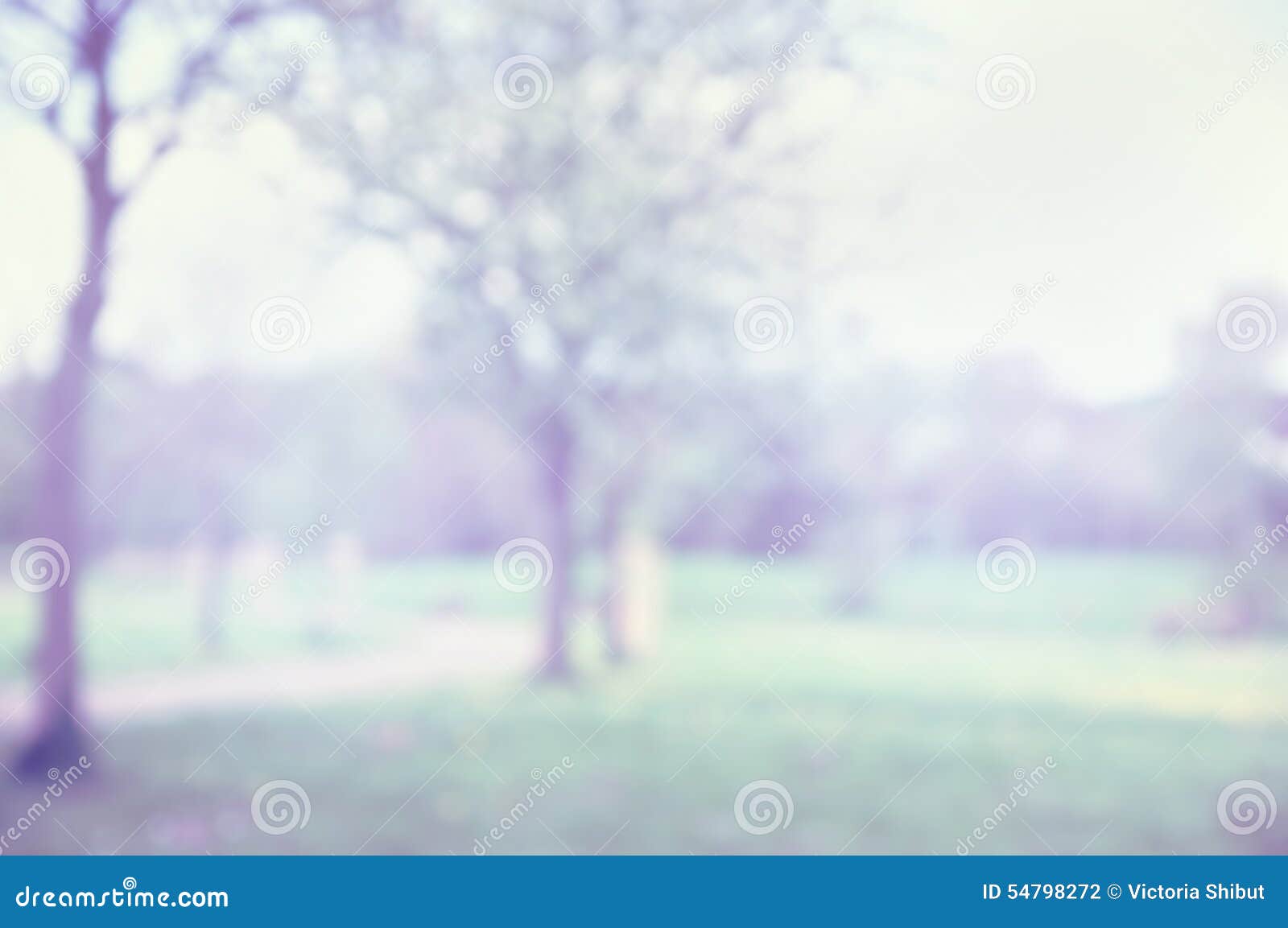 Spring Blurred Park, Nature Background Stock Photo - Image of blur ...