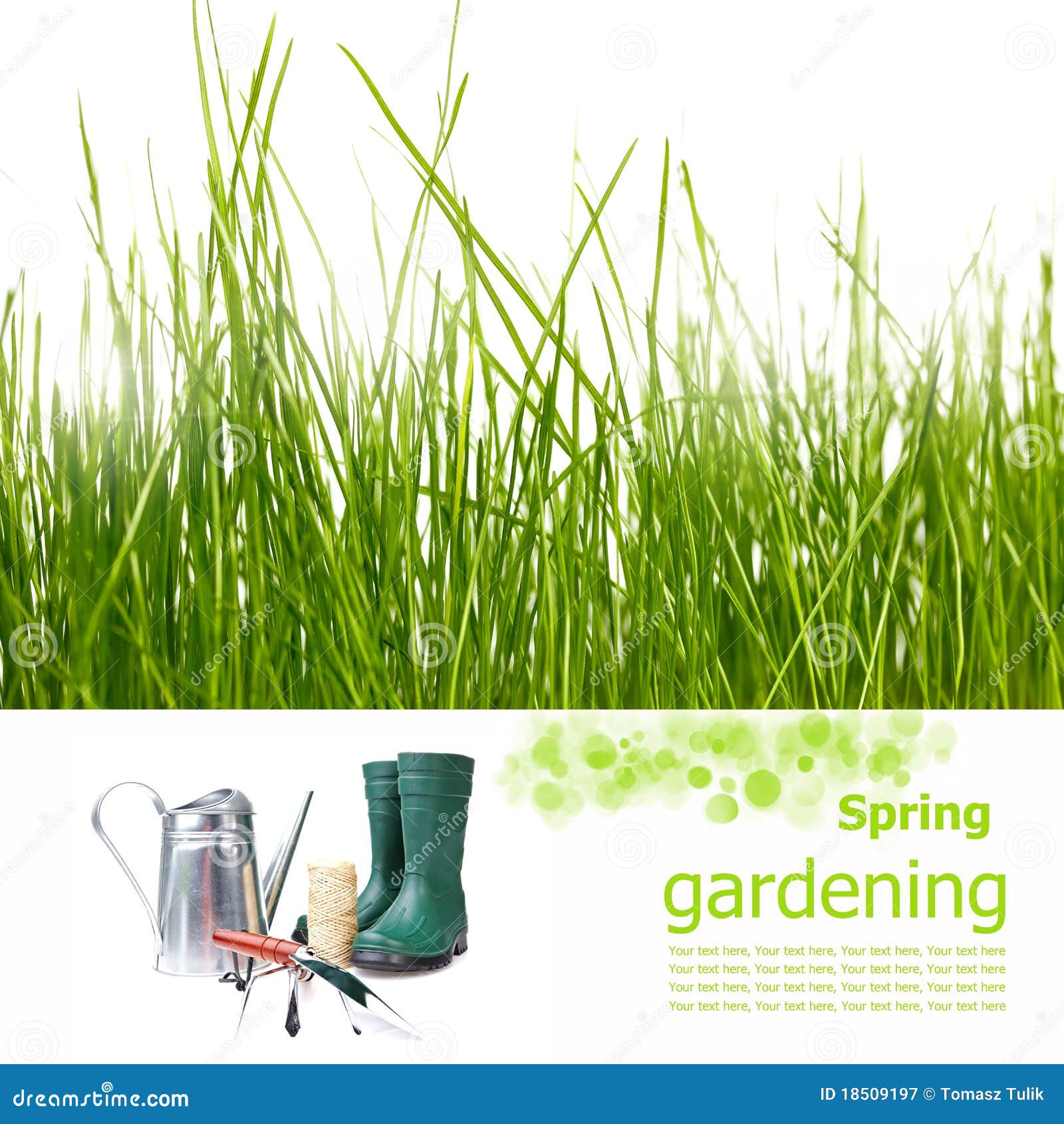 Spring board concept stock image. Image of outdoors, environmental ...