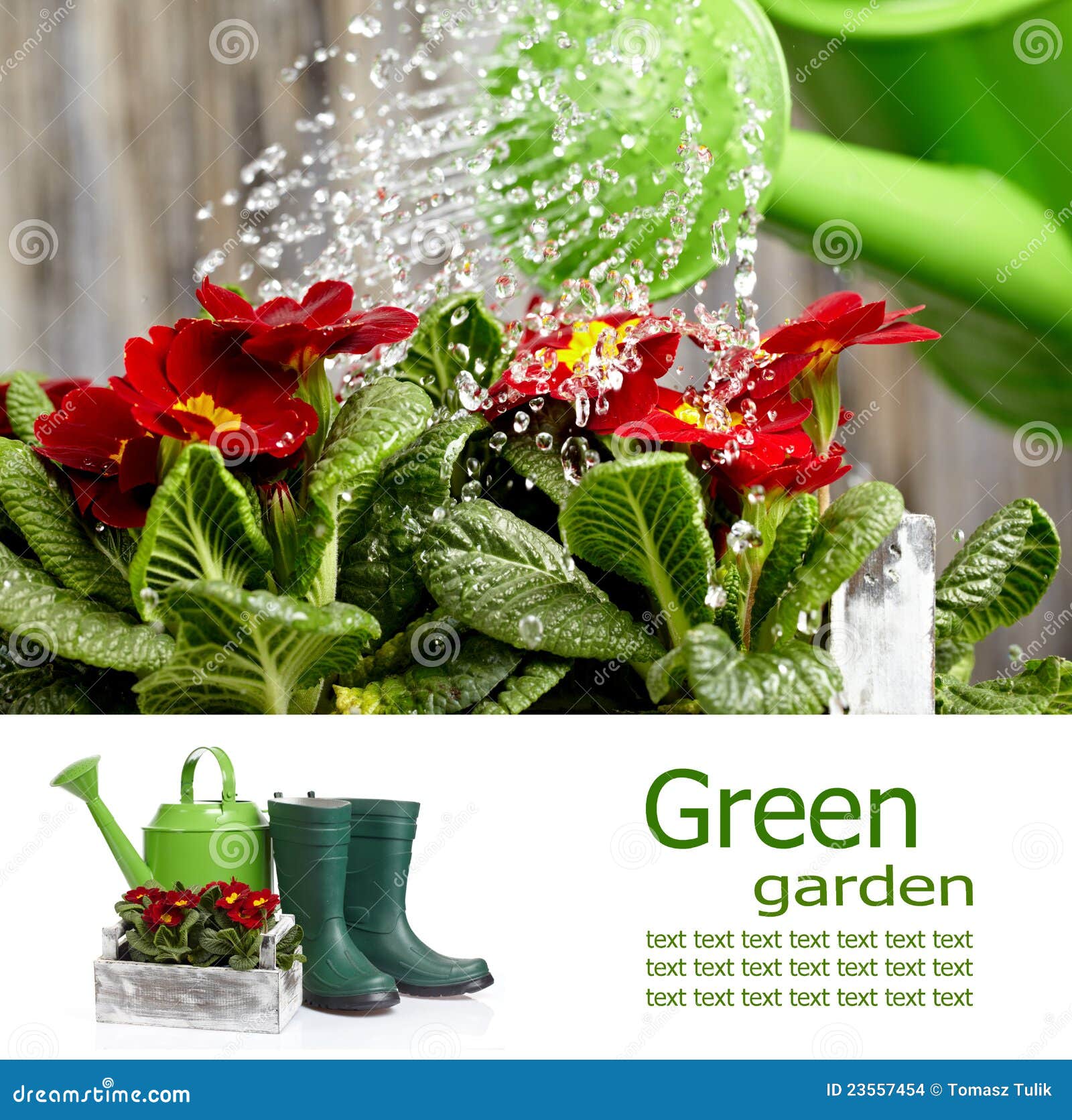 Spring board concept stock photo. Image of gardening - 23557454