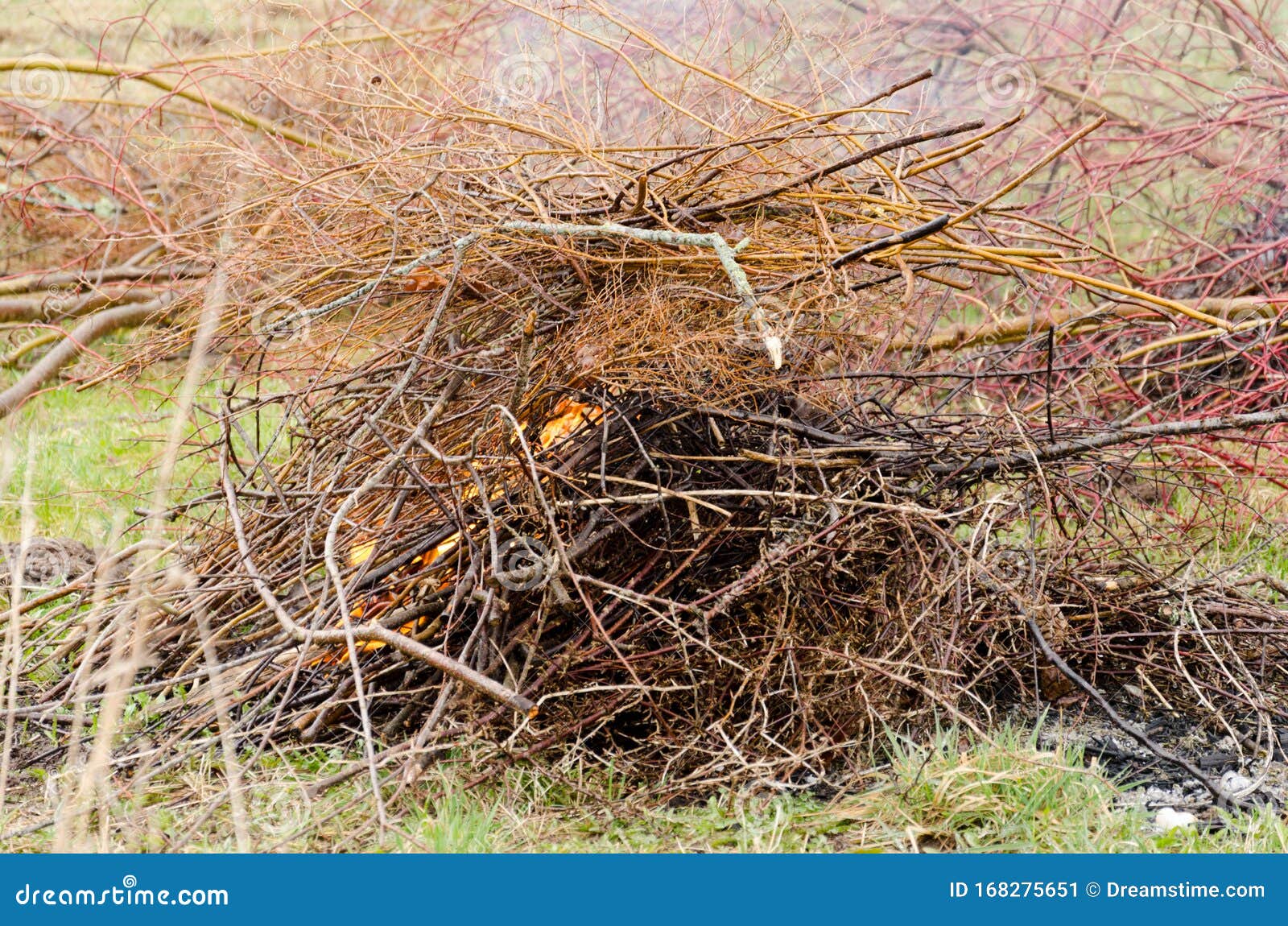 Spring Bonfire with Pile of Branches Stock Image - Image of color ...