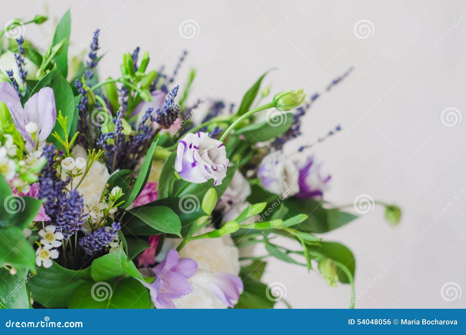 Spring Boquet of Flowers for Present Isolated Stock Photo - Image of ...