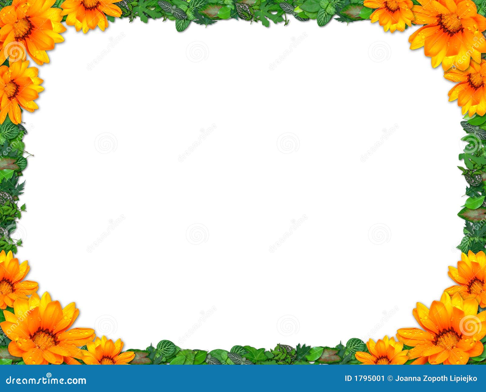 Spring border stock image. Image of background, border - 1795001