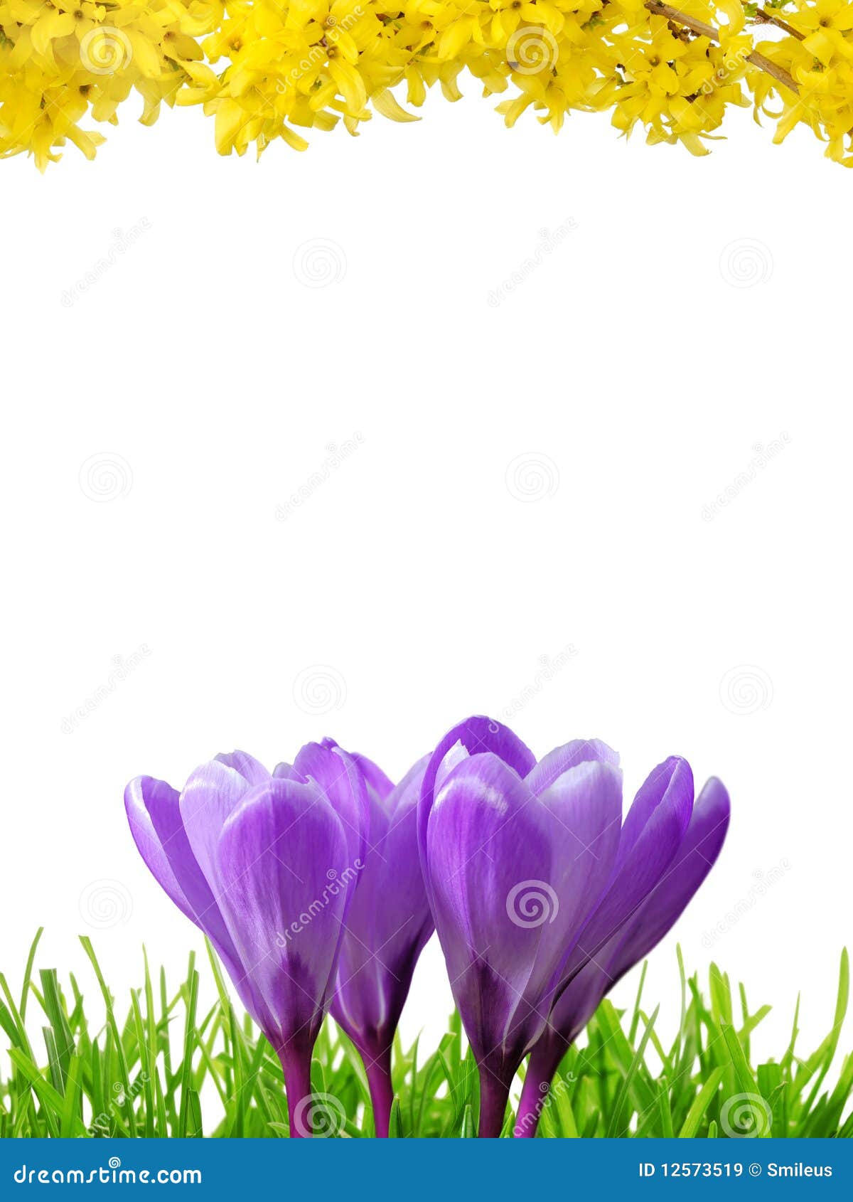 Spring border in 3 colors stock image. Image of greetings - 12573519