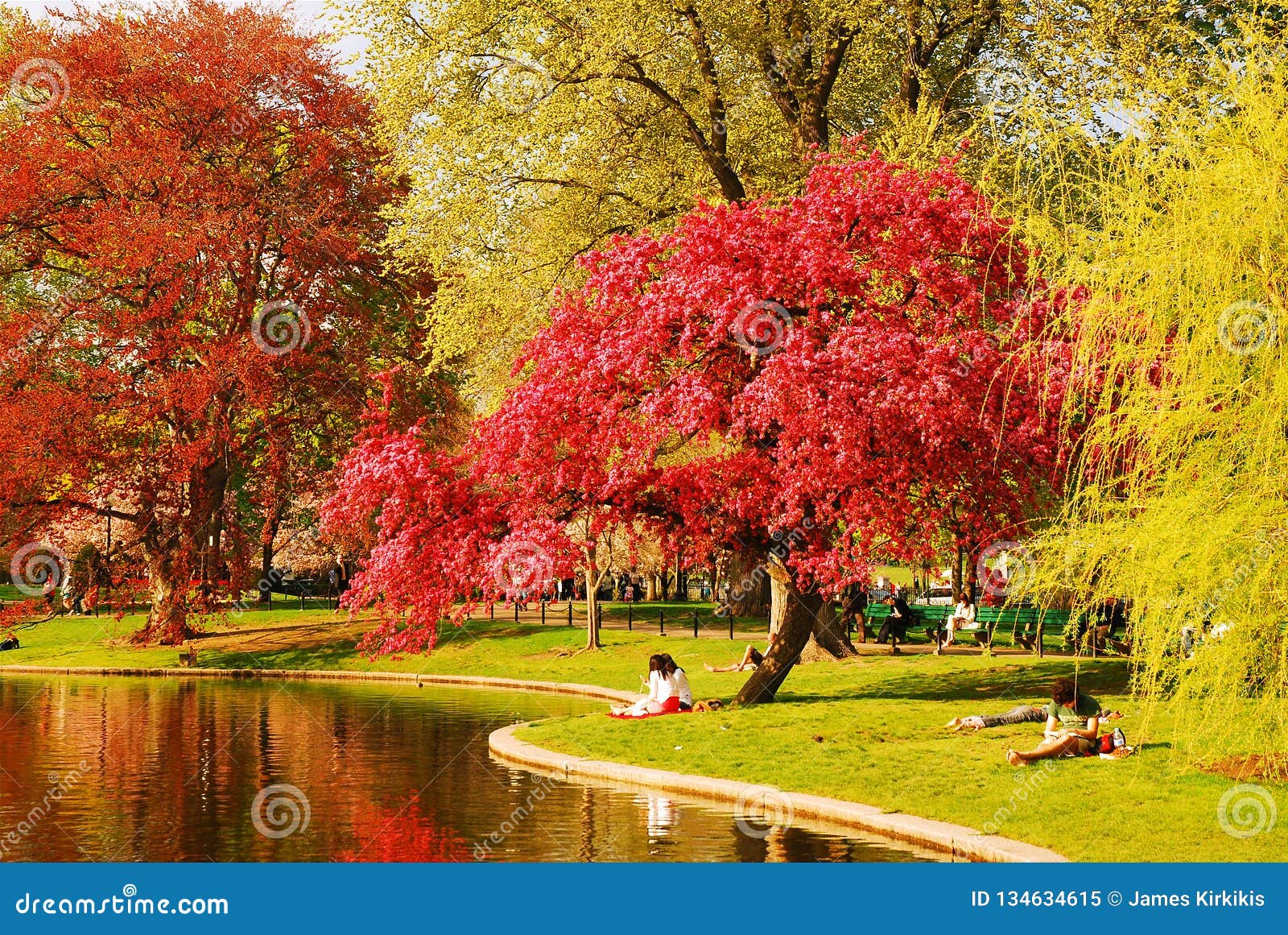 Spring in Boston Common editorial image. Image of england - 134634615