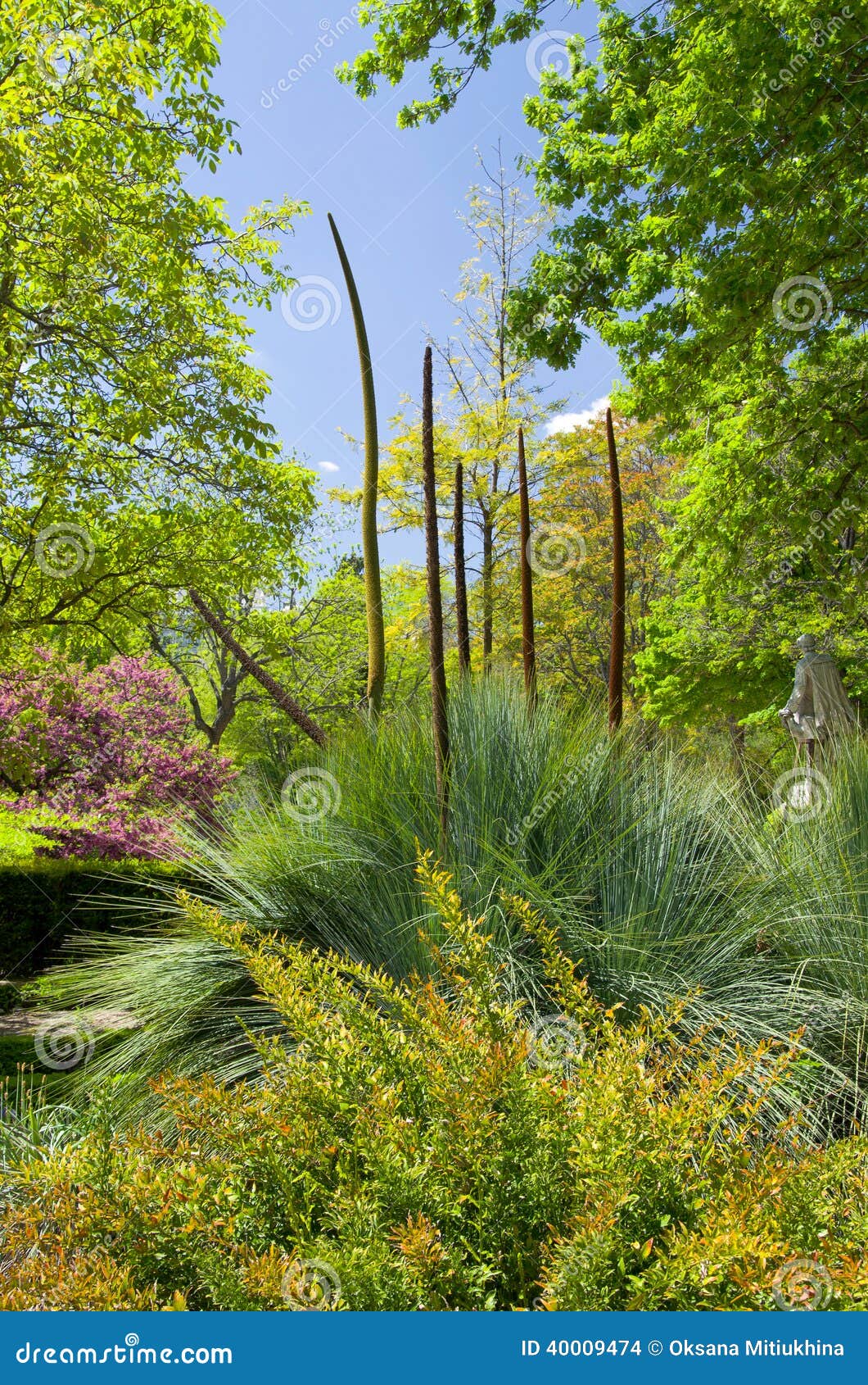 Spring in the Botanic Garden Stock Photo - Image of blooming, flowering ...