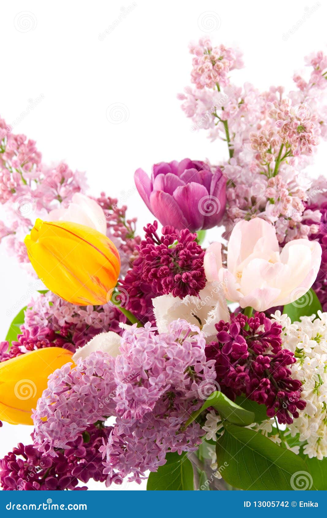 Spring bouquet stock photo. Image of beautiful, leaf - 13005742