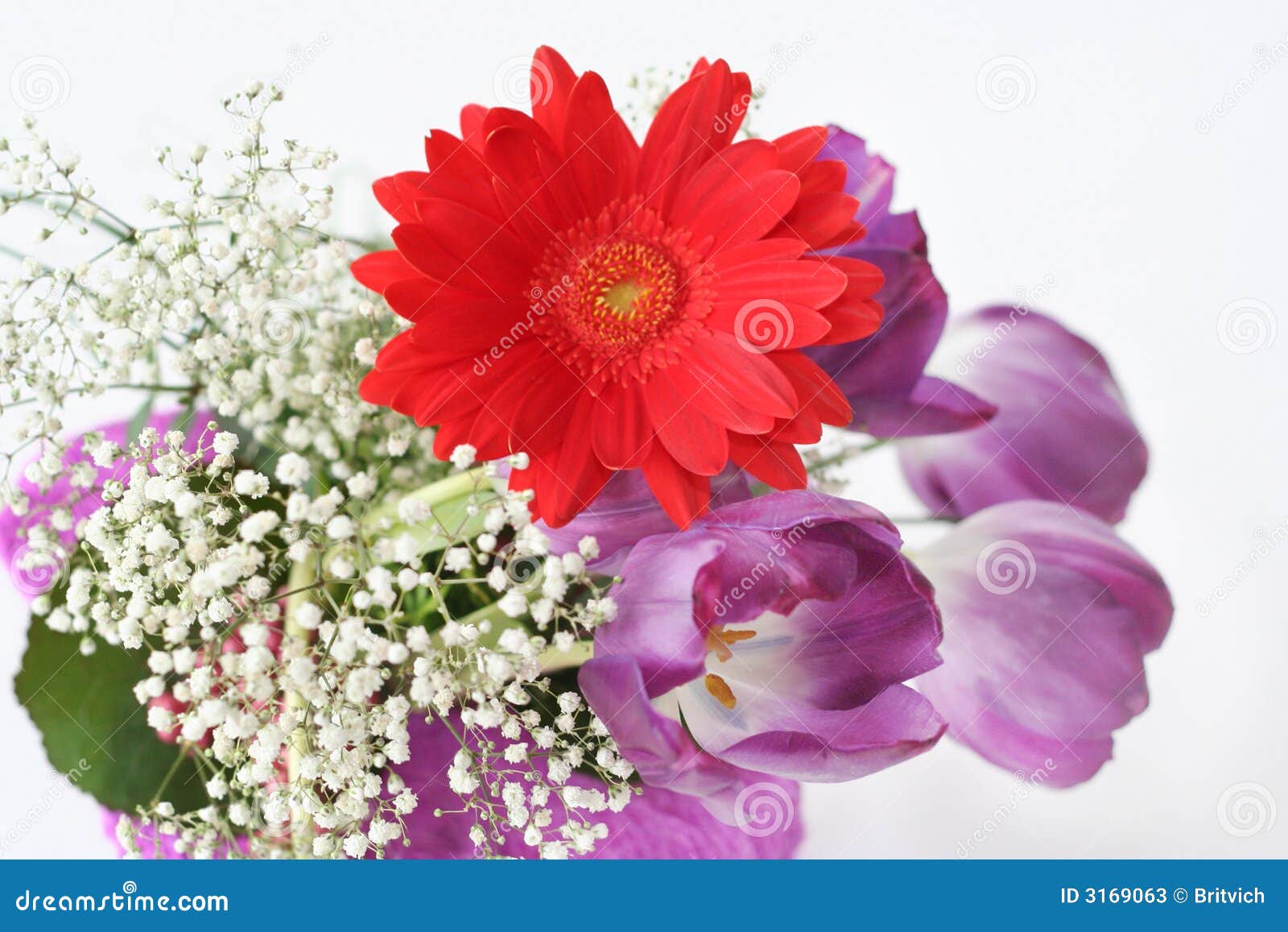 Spring bouquet stock image. Image of frame, isolated, aroma - 3169063