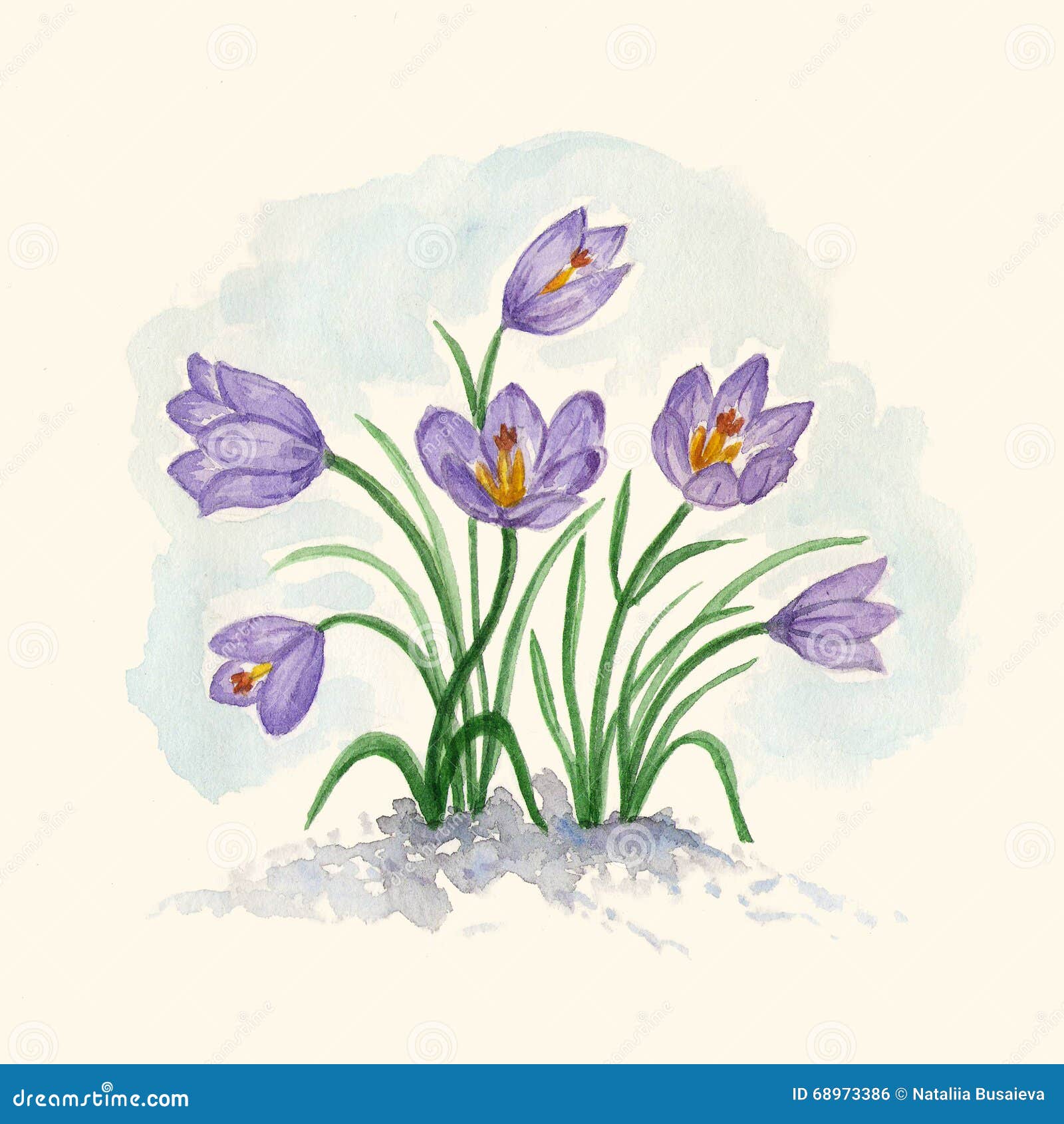 Spring Bouquet of Flowers Crocuses. Stock Illustration - Illustration ...