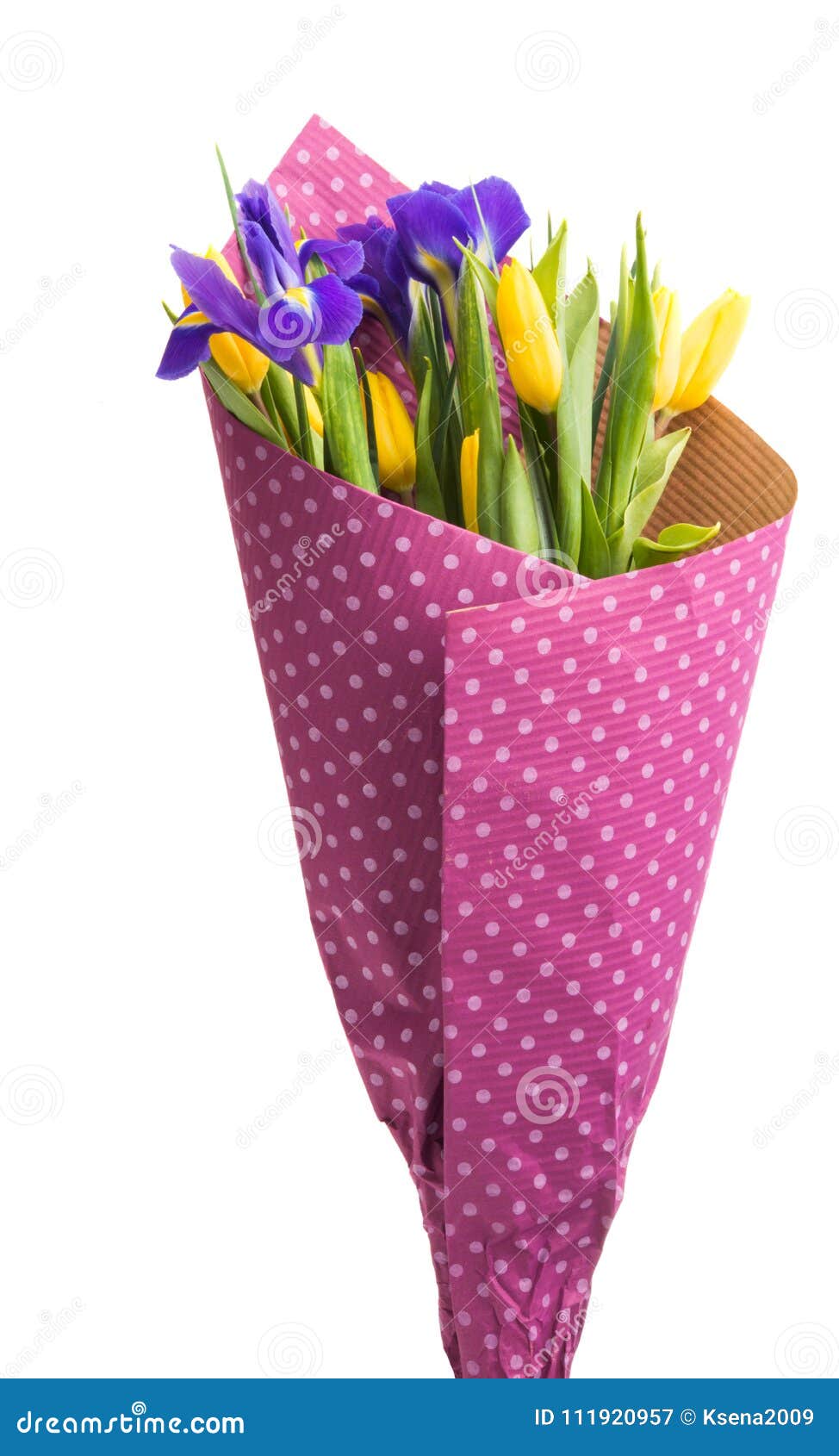 Spring Bouquet With Tulips And Iris Isolated Stock Image - Image of ...