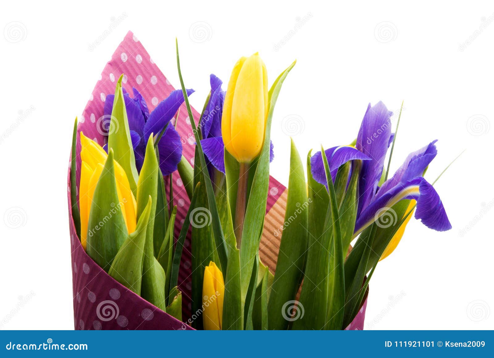 Spring Bouquet with Tulips and Iris Isolated Stock Image - Image of ...