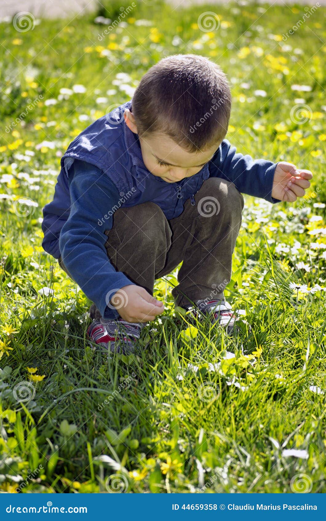Spring boy stock photo. Image of flowers, freedom, outdoors - 44659358