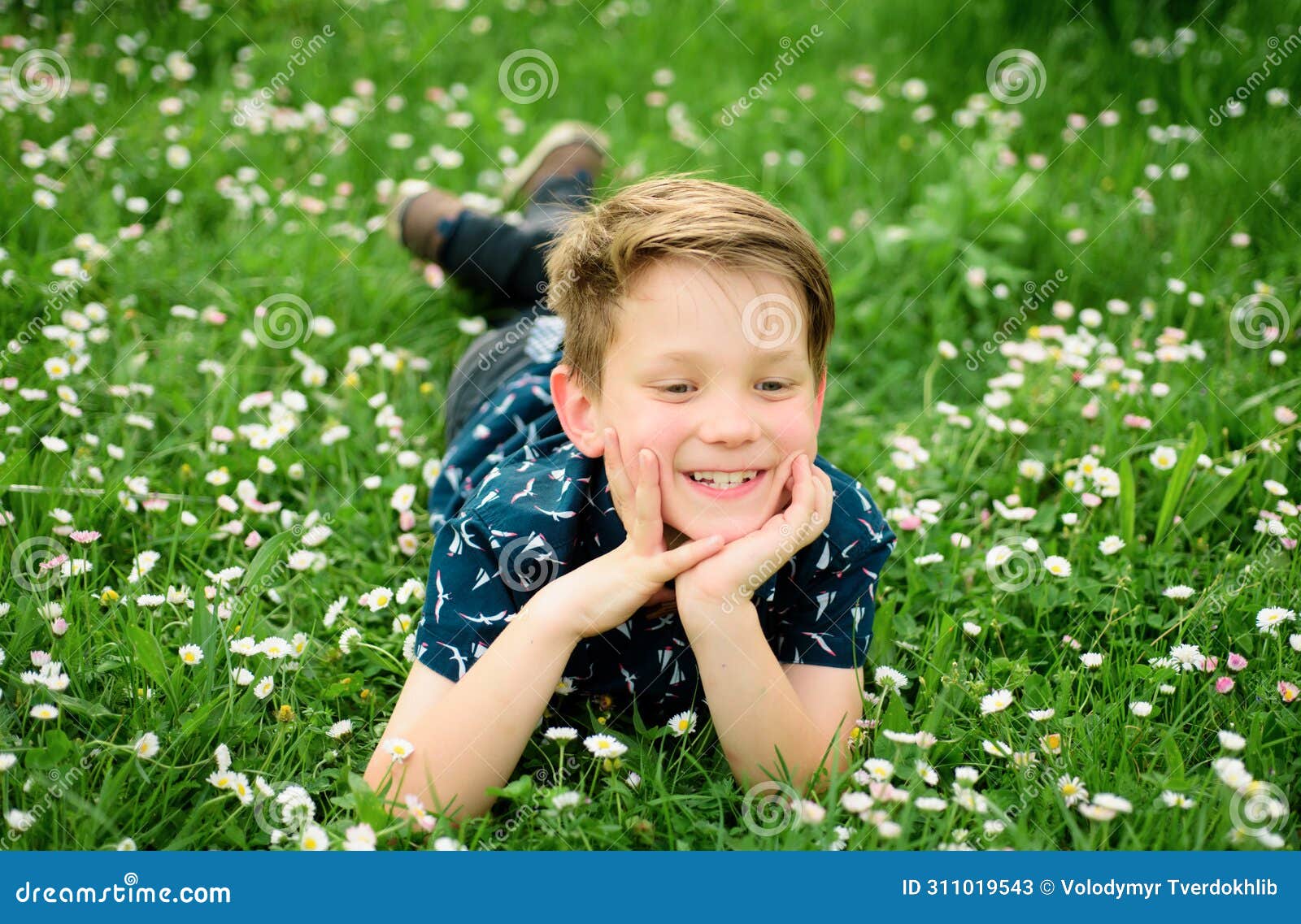 Spring Boy on Grass. Cute Kid on Field Flower. Dreaming Child. Stock ...