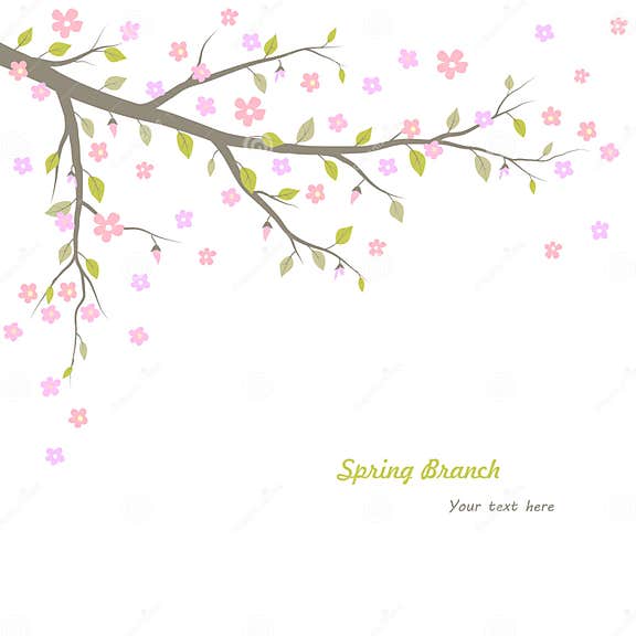 Spring branch background stock vector. Illustration of cream - 40334774