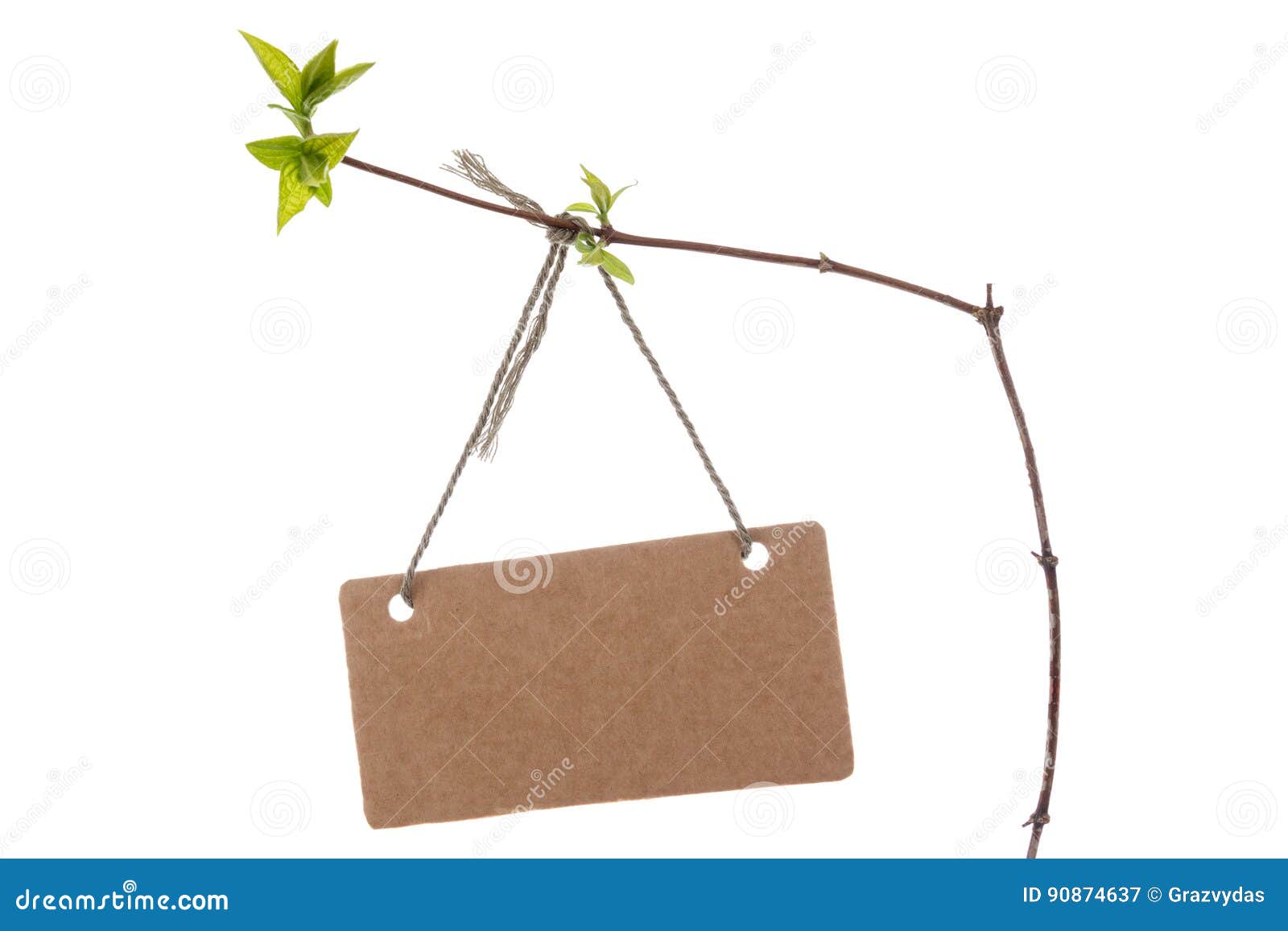 Spring Branch with Blank Tag Stock Image - Image of cardboard ...