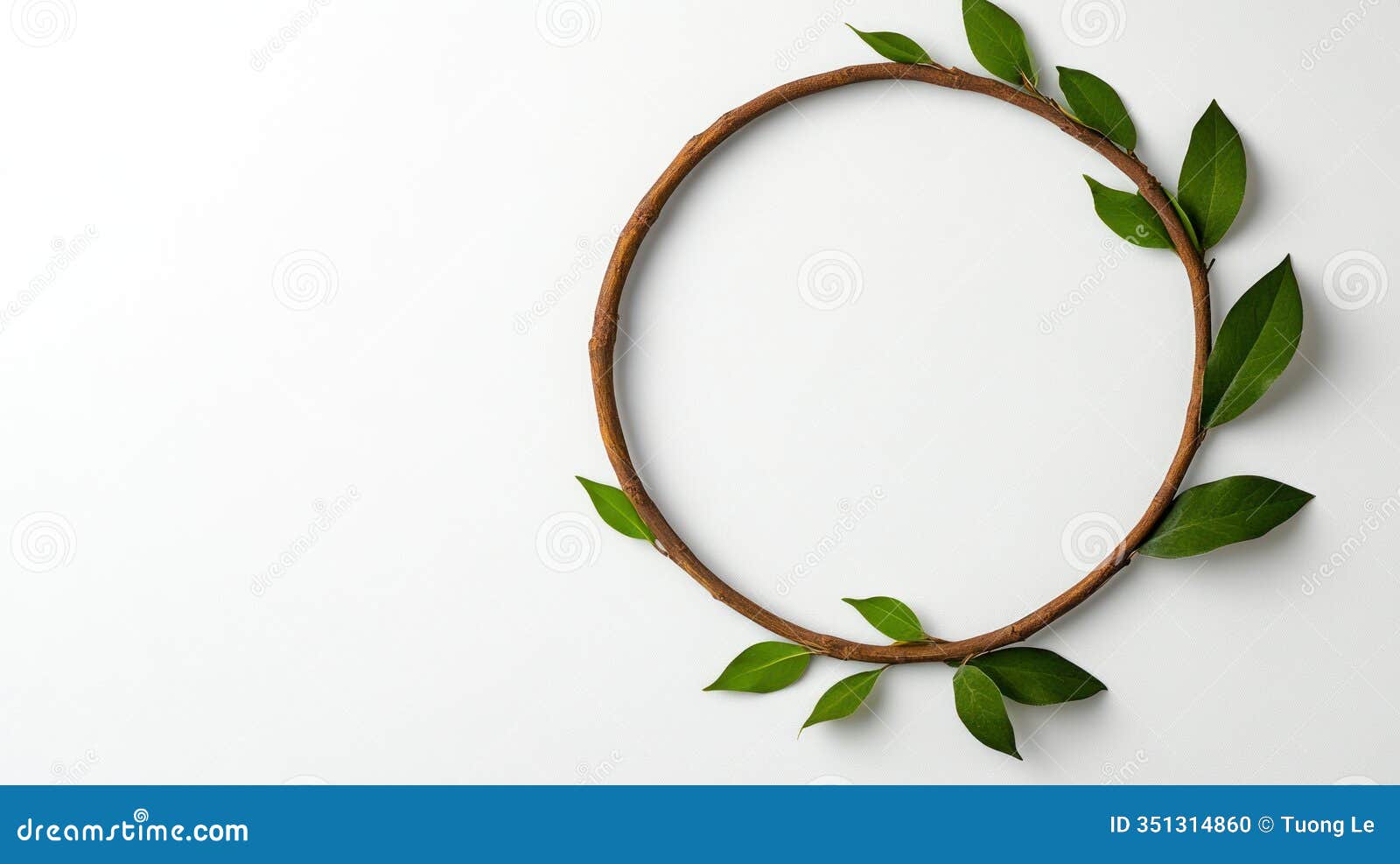 Spring Branch Circle Frame Wreath on White Background Stock ...