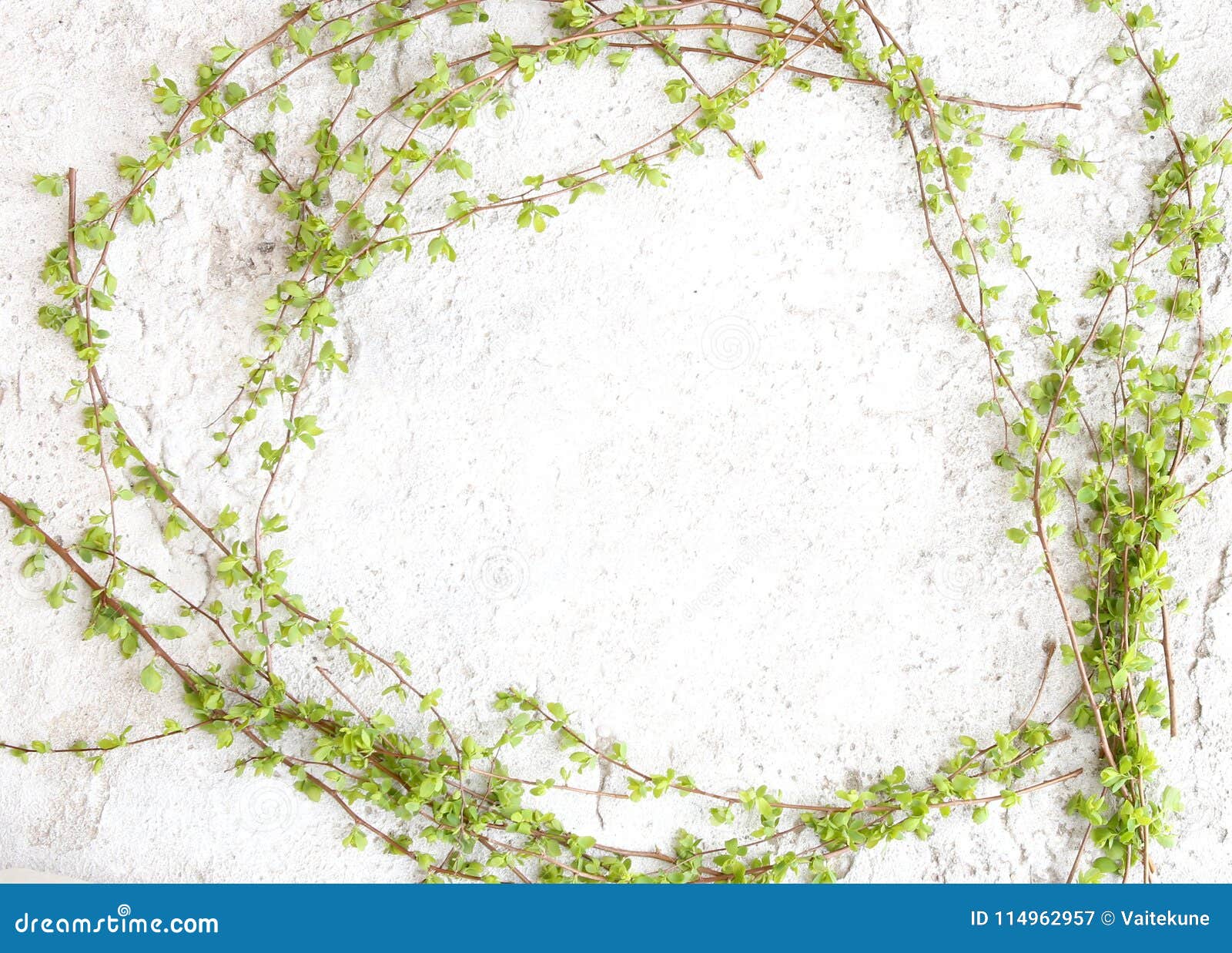 Frame with Green Tree Branches on White Stone Background. Stock Image ...