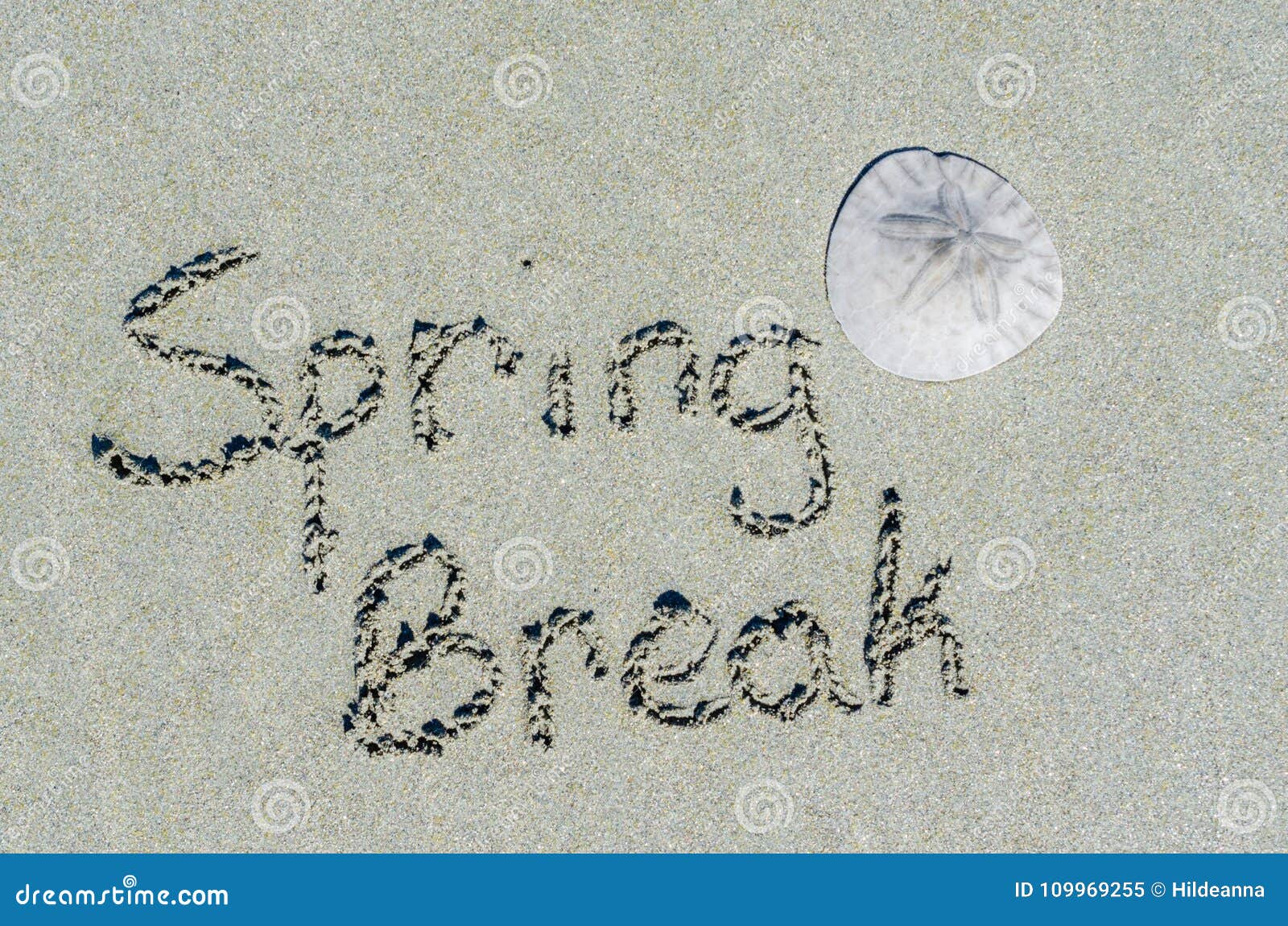 Spring Break Message in the Sand with Sand Dollar Stock Image - Image ...