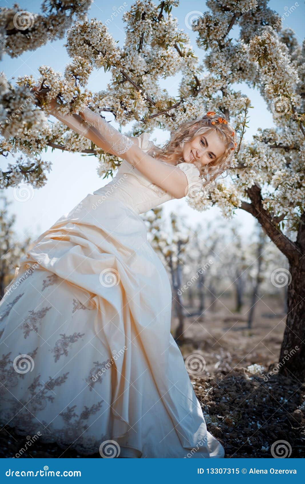 Spring bride portrait stock image. Image of elegance - 13307315