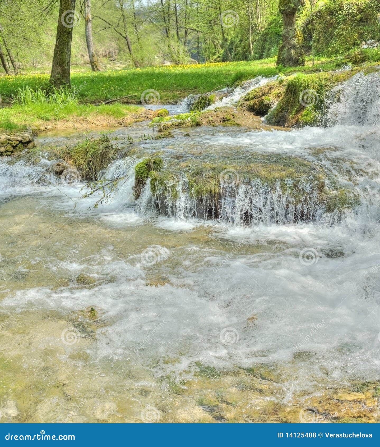 Spring brook stock photo. Image of outdoor, fall, flow - 14125408