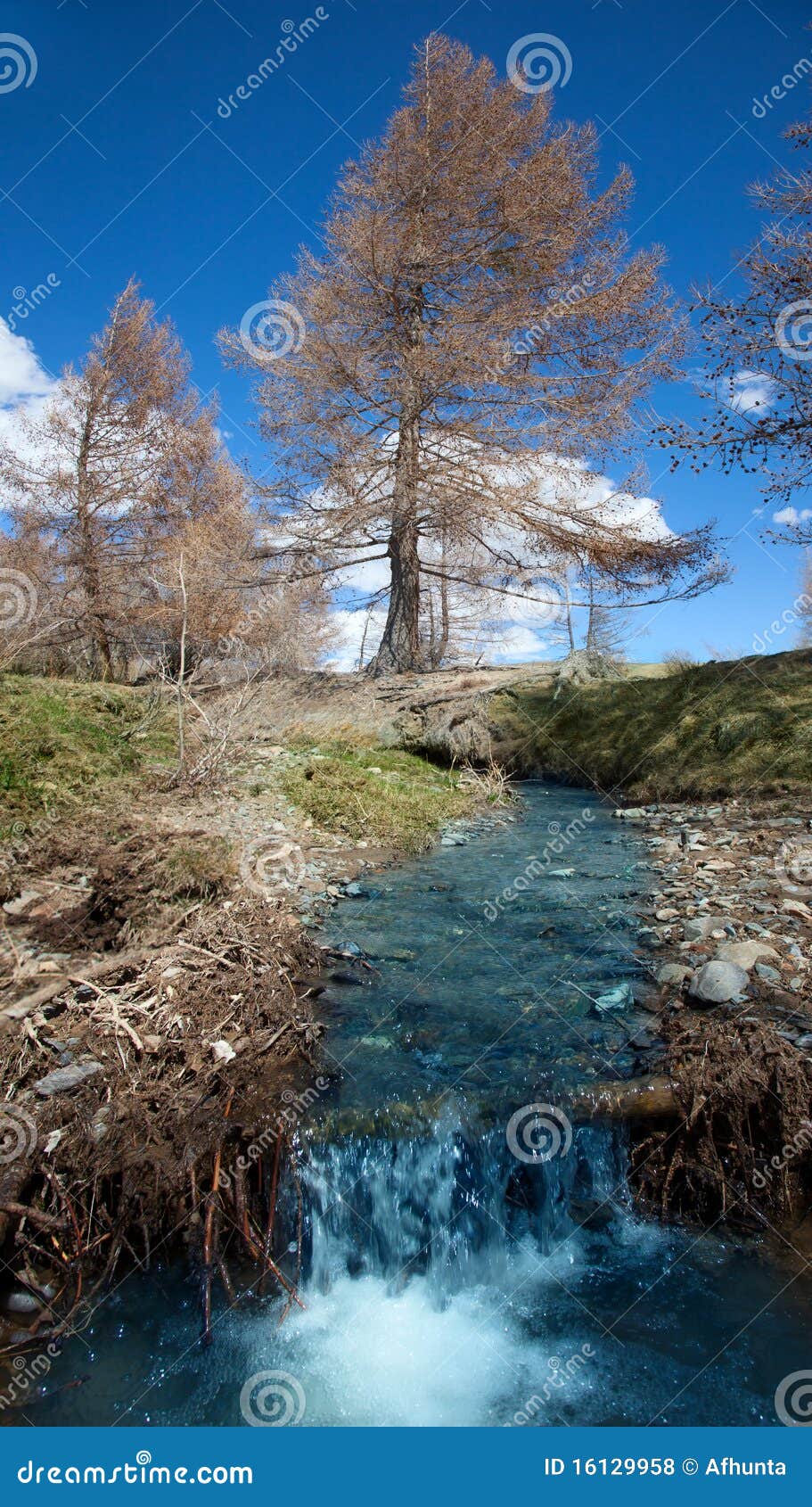 Spring Brook stock photo. Image of creek, water, siberia - 16129958