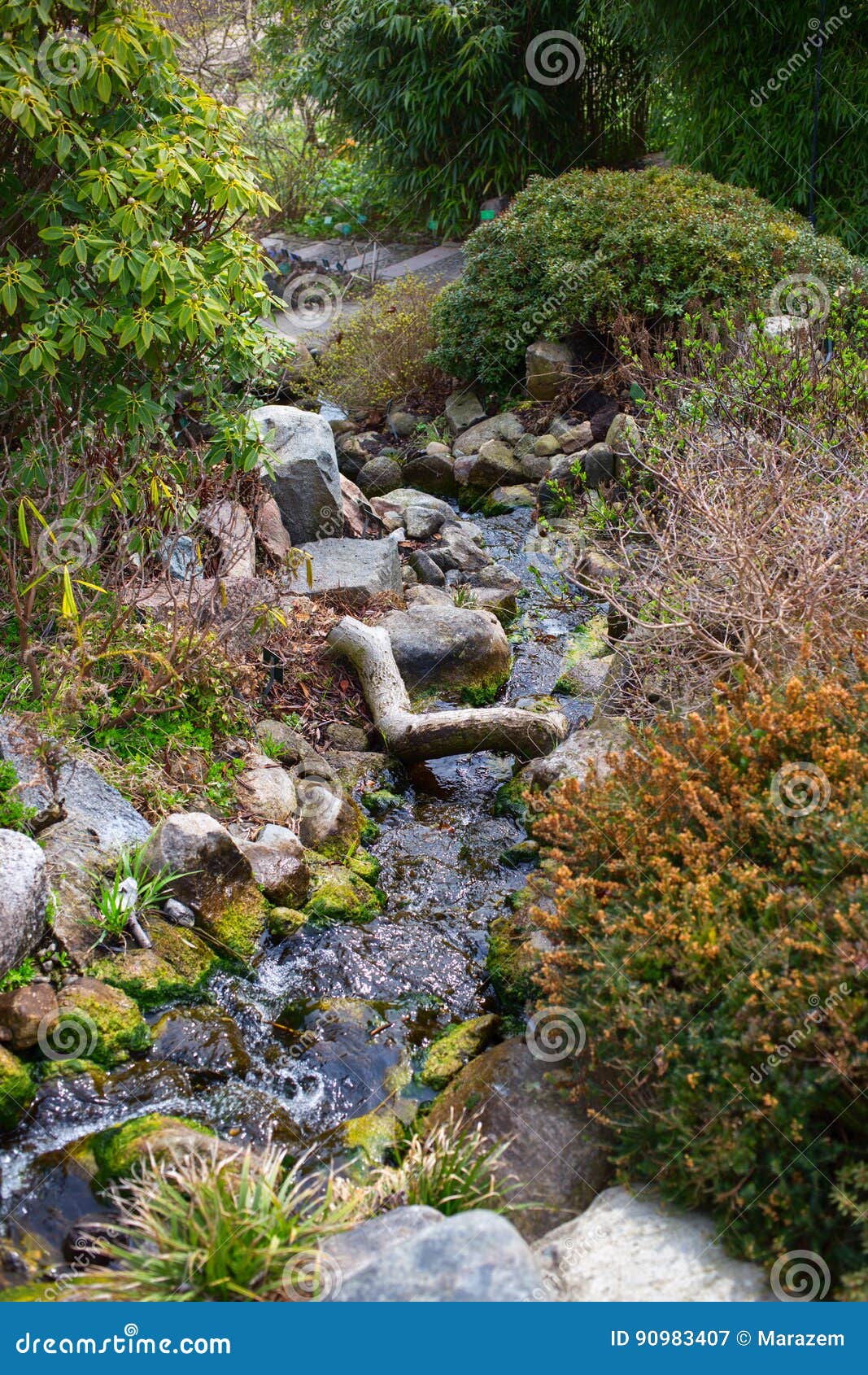 Spring Brook in Botanical Garden Stock Image - Image of flowing, city ...
