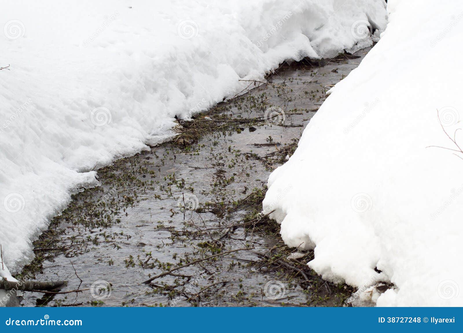 Spring Brook. Thaw. Spring. Stock Photo - Image of river, downy: 38727248