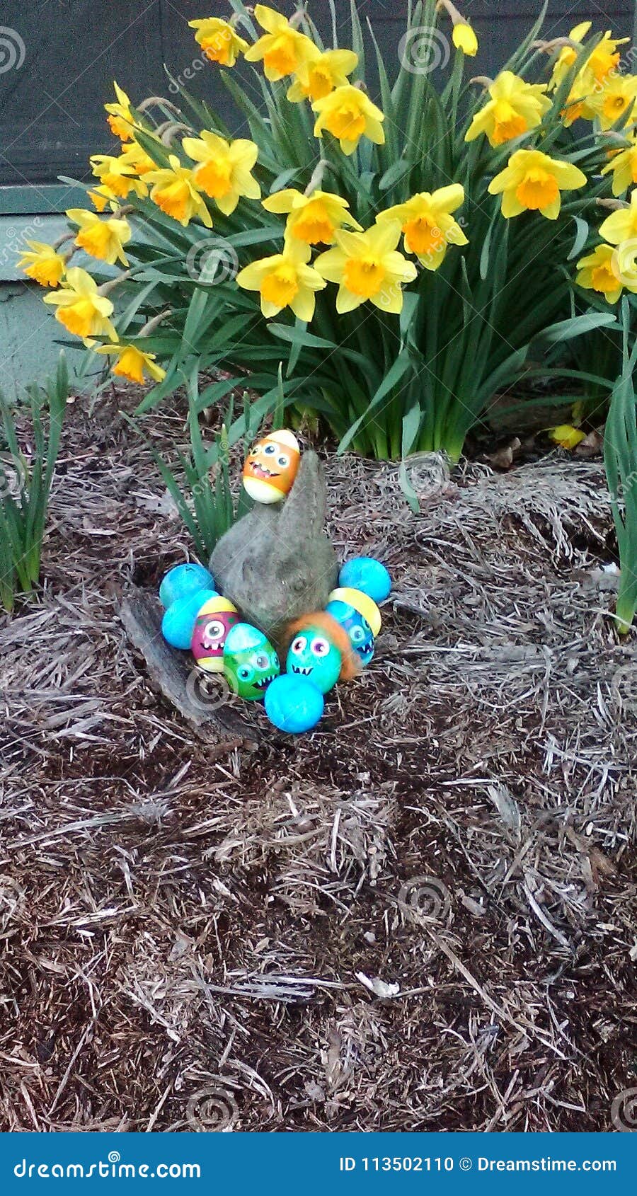 Spring bunny stock photo. Image of bunny, phone, kind - 113502110