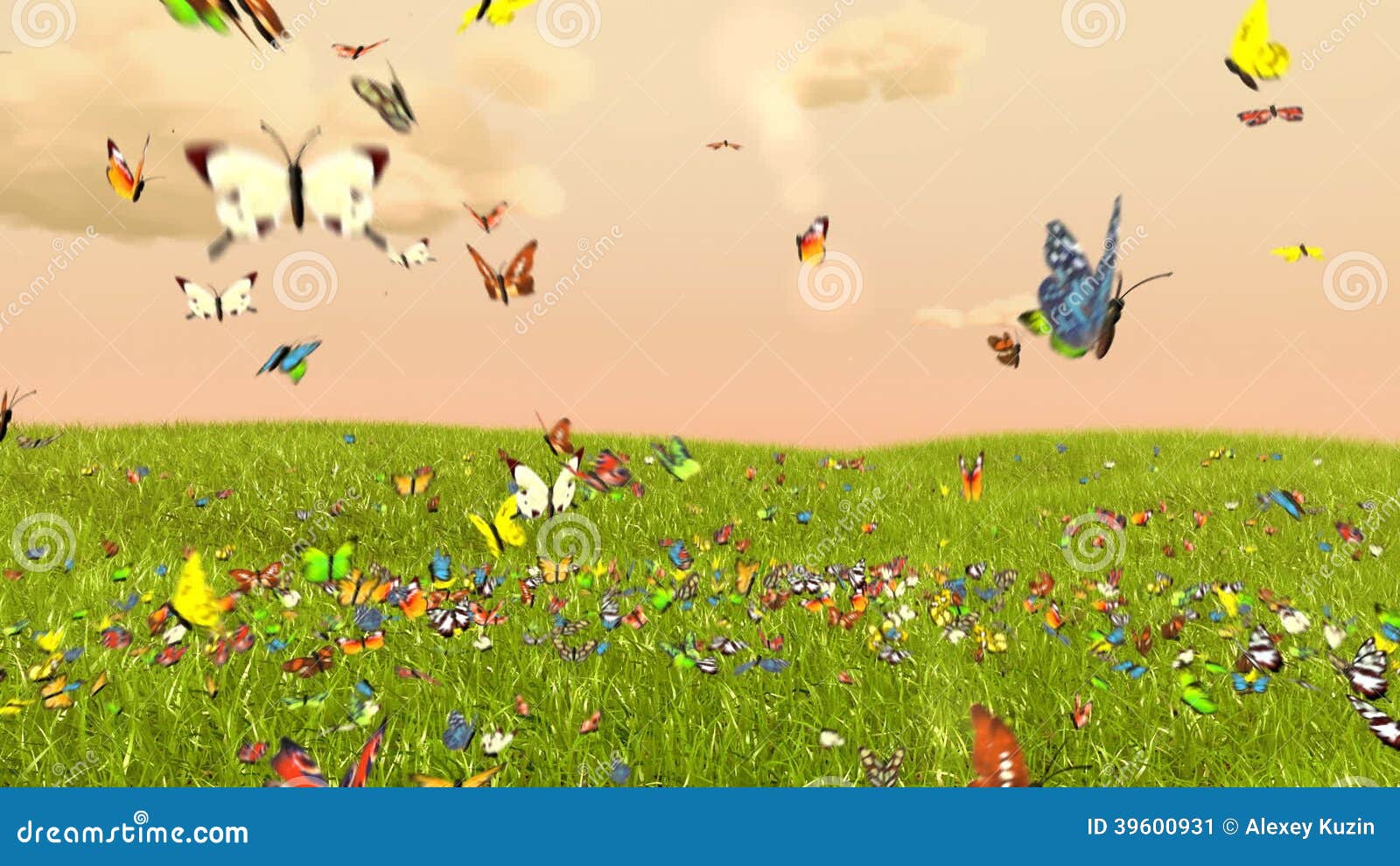 Spring Butterfly stock video. Video of spring, 1920x1080 - 39600931