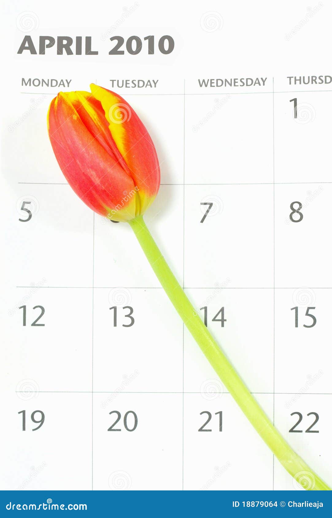 Spring calendar stock photo. Image of wedding, schedule - 18879064