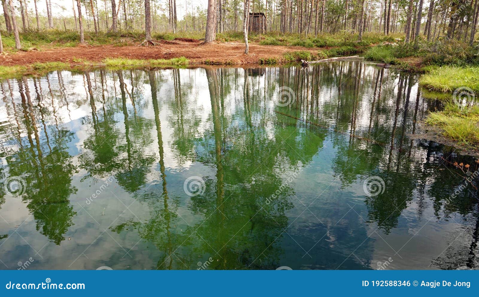 Grodkallan Frog Spring in Swedish Lapland Near Arvidsjaur Stock Photo ...