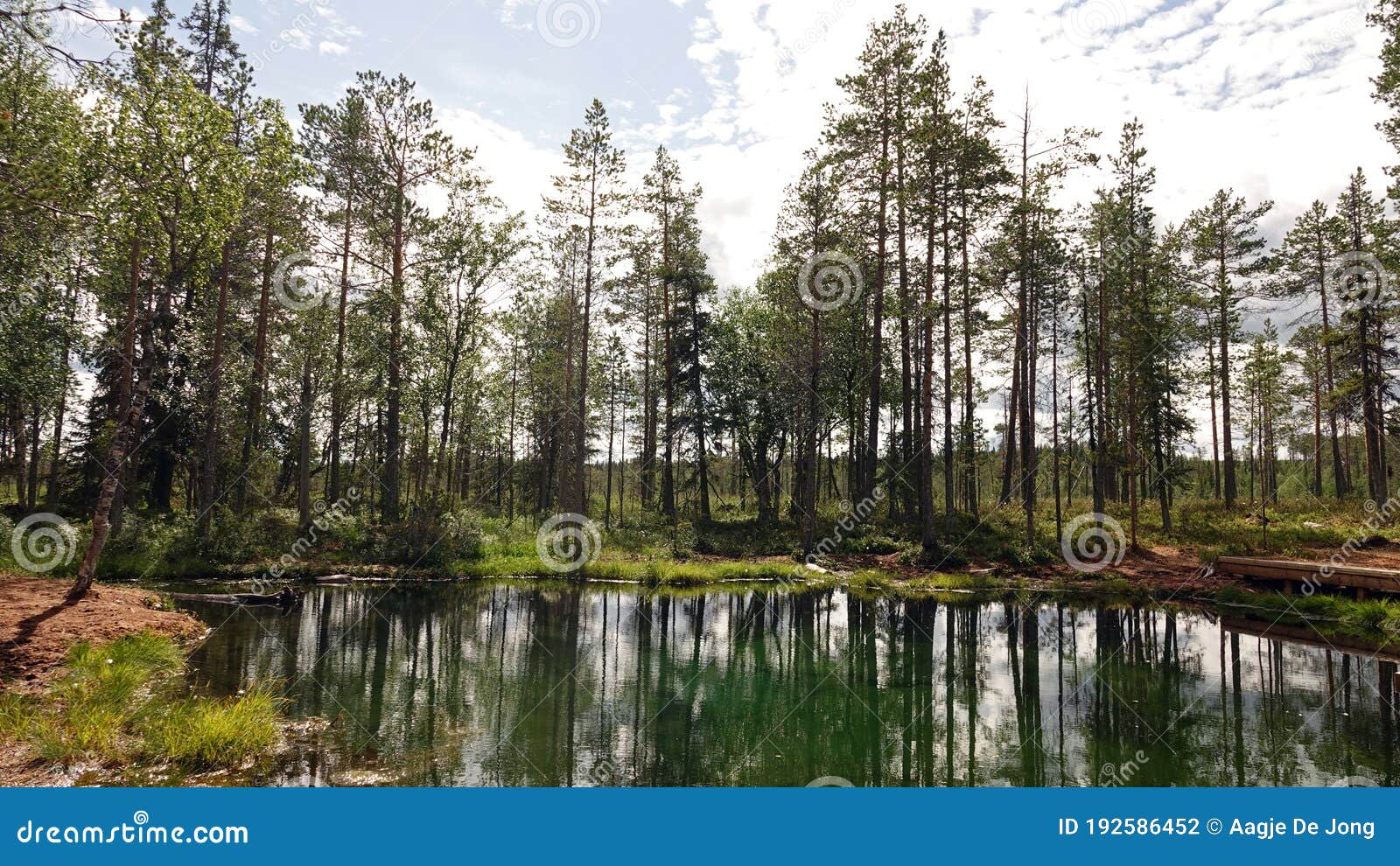Grodkallan Frog Spring in Swedish Lapland Near Arvidsjaur Stock Photo ...