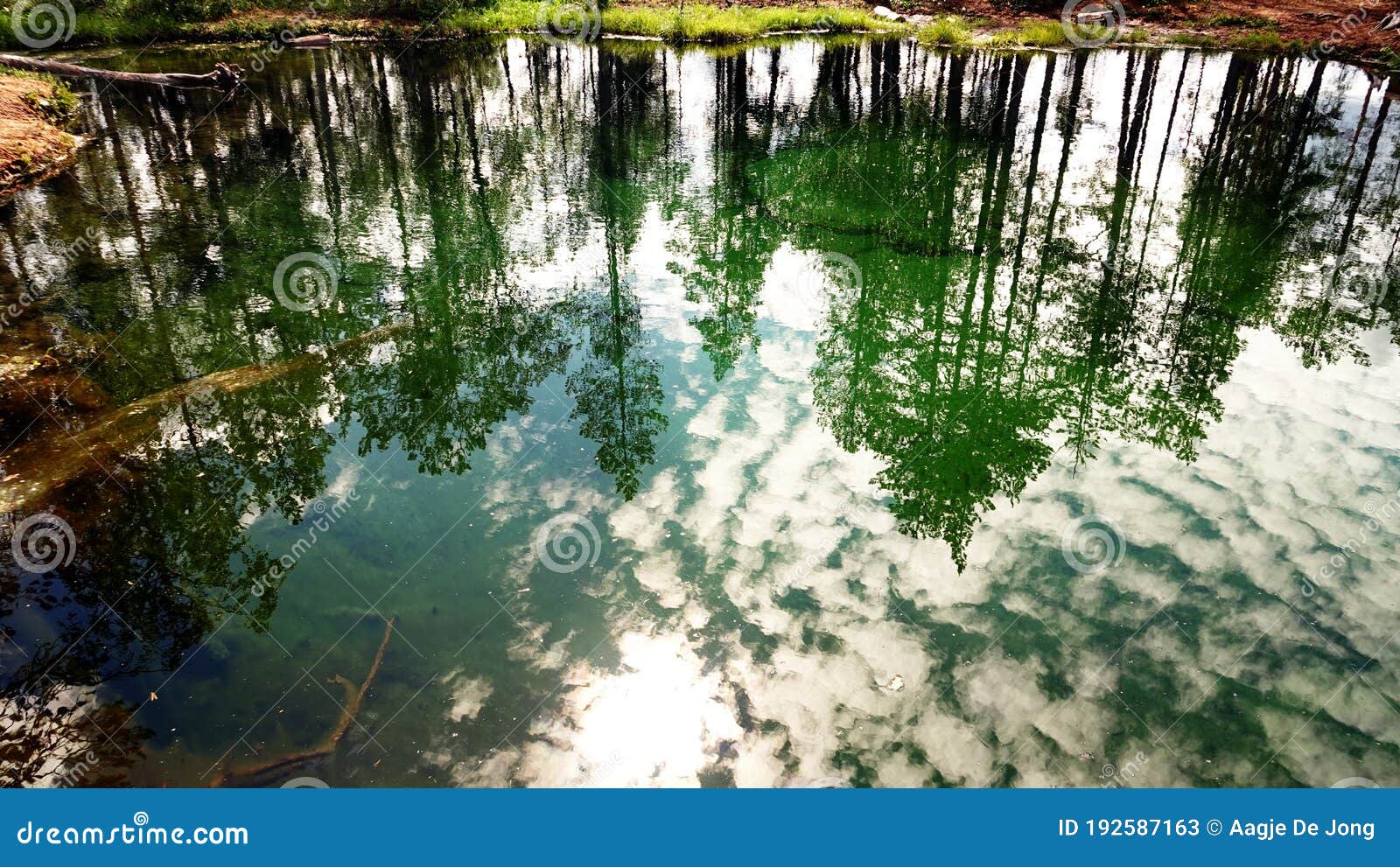 Grodkallan Frog Spring in Swedish Lapland Near Arvidsjaur Stock Image ...