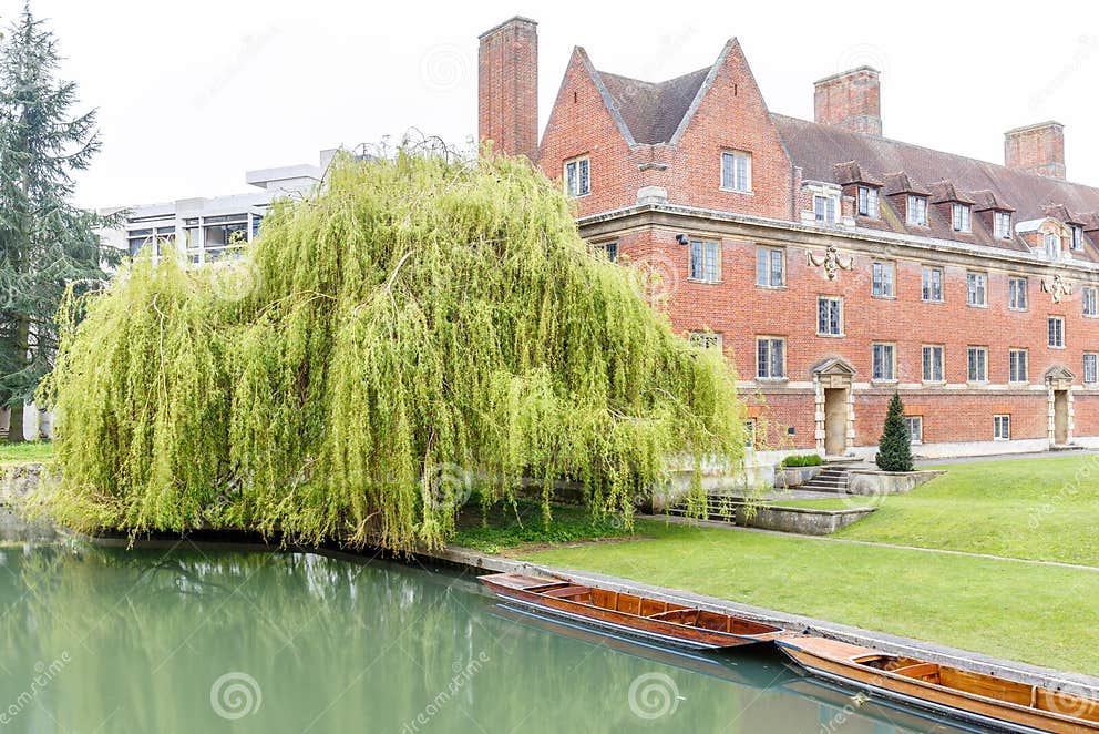 Spring in Camridge stock image. Image of frame, river - 71419407