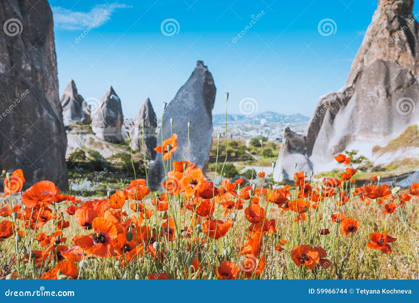 Spring in Cappadocia, Turkey Stock Photo - Image of poppy, plant: 59966744