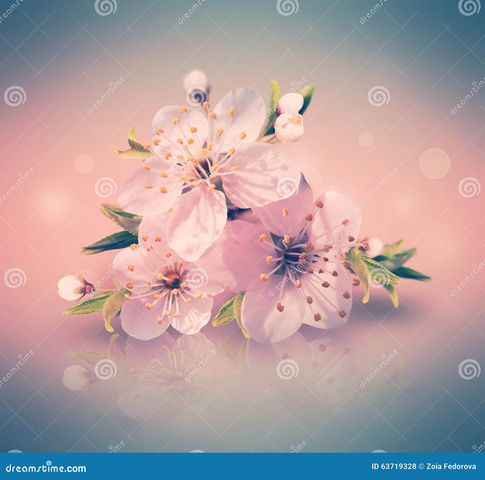 Spring card background stock photo. Image of color, summer - 63719328