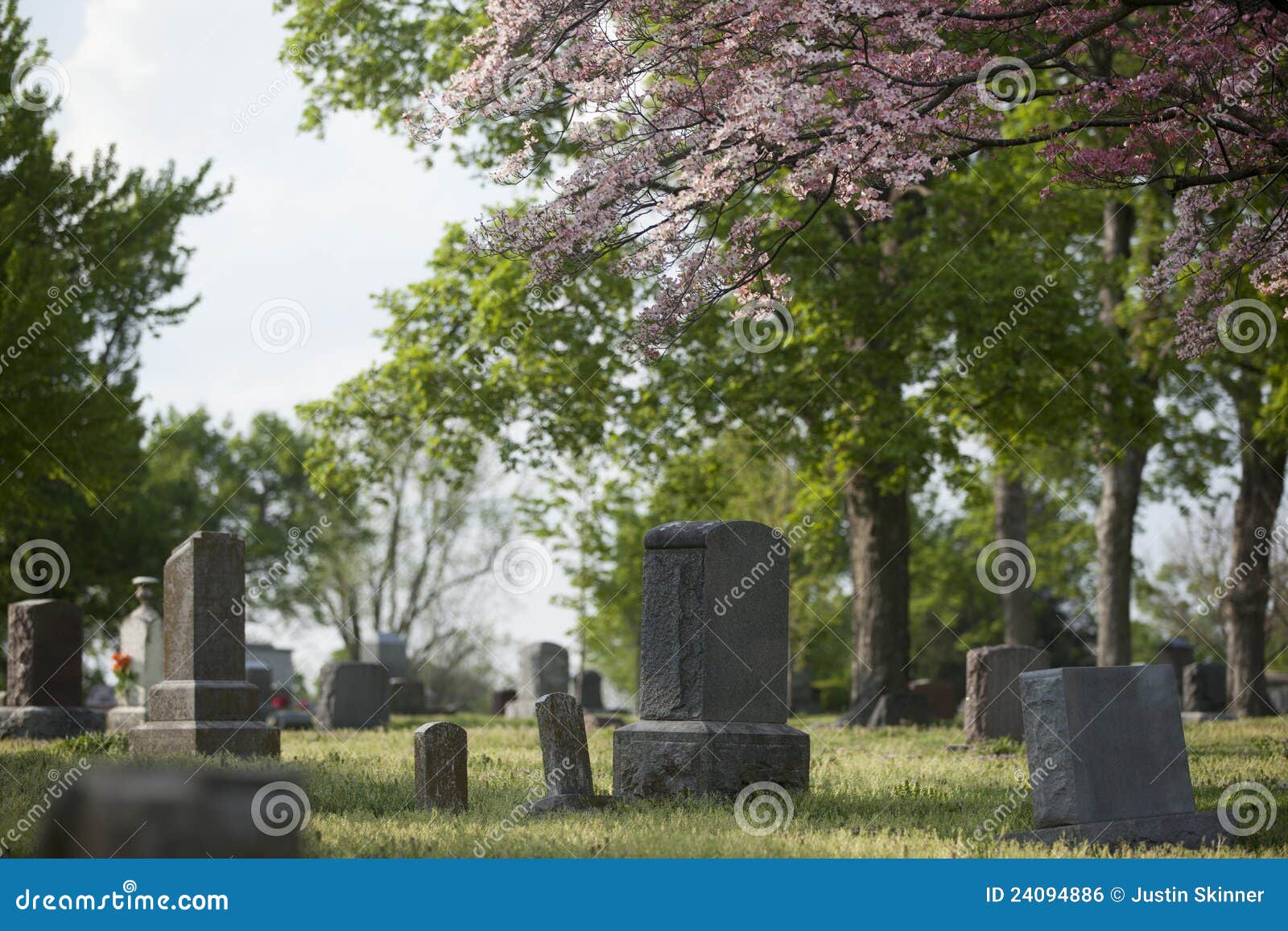 Spring Cemetery stock photo. Image of tree, cemetery - 24094886
