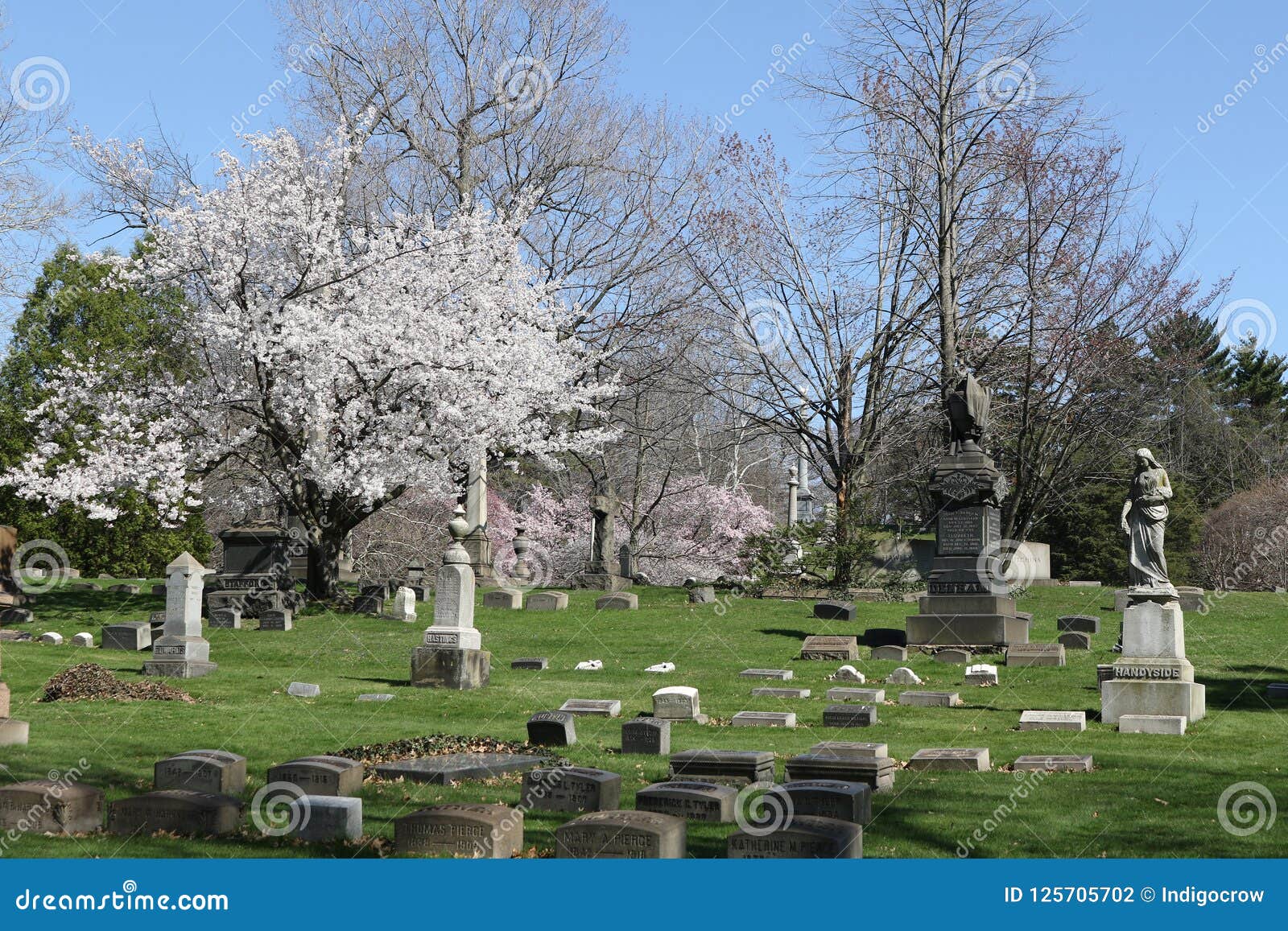 Spring Cemetery Landscape stock photo. Image of nature - 125705702