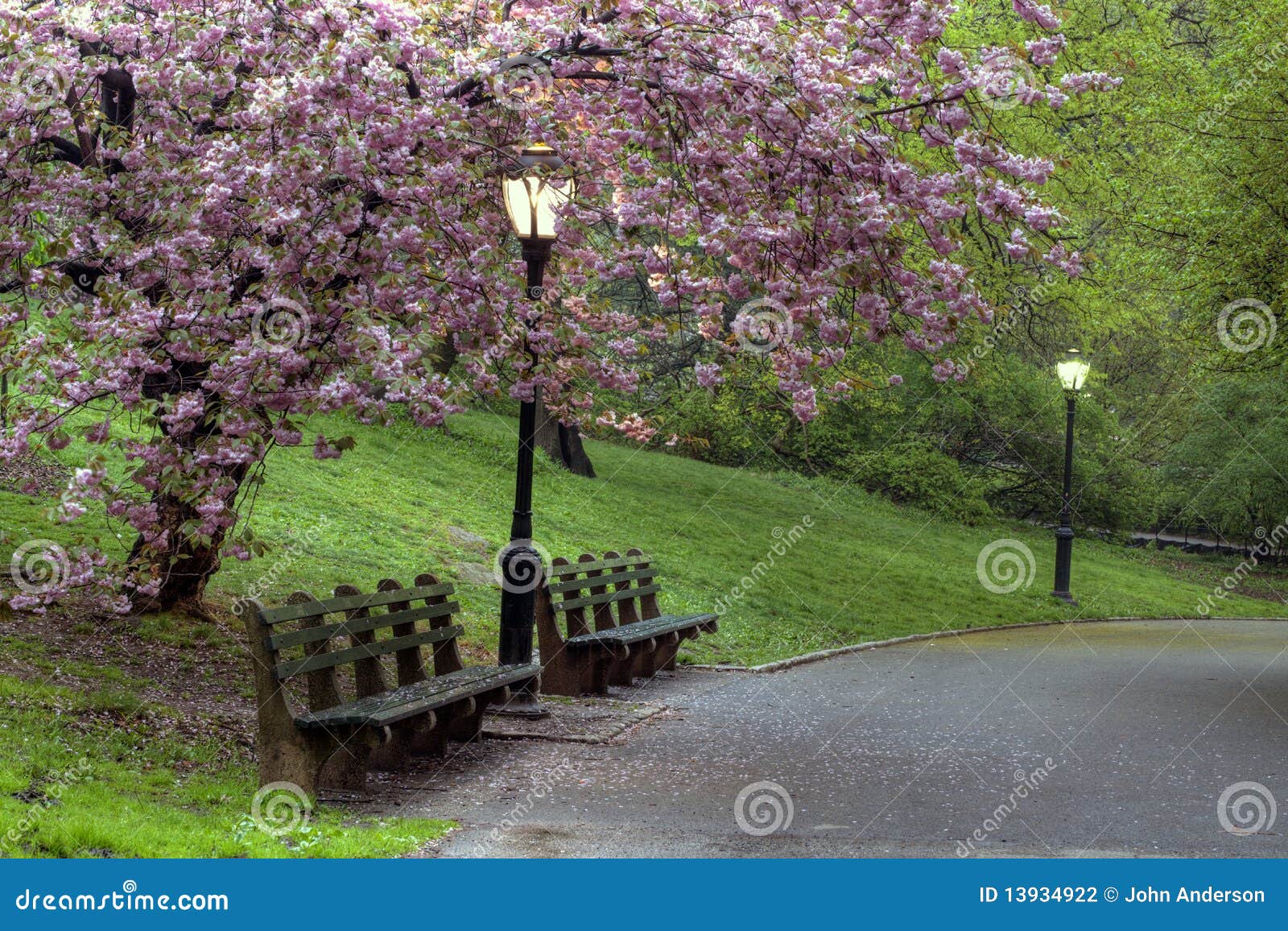 Spring in Central Park stock photo. Image of lamp, april - 13934922