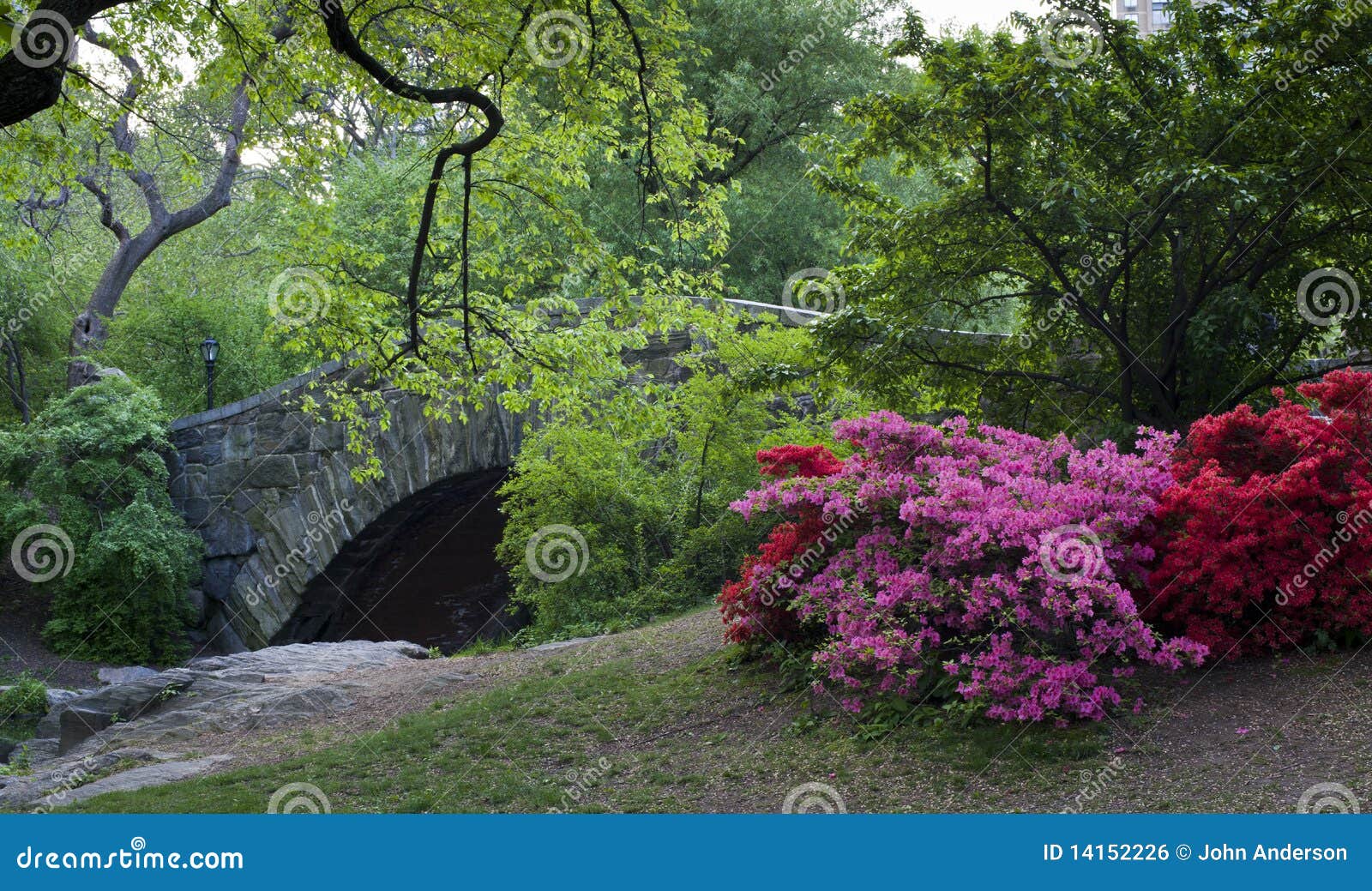Spring in Central Park stock photo. Image of york, park - 14152226