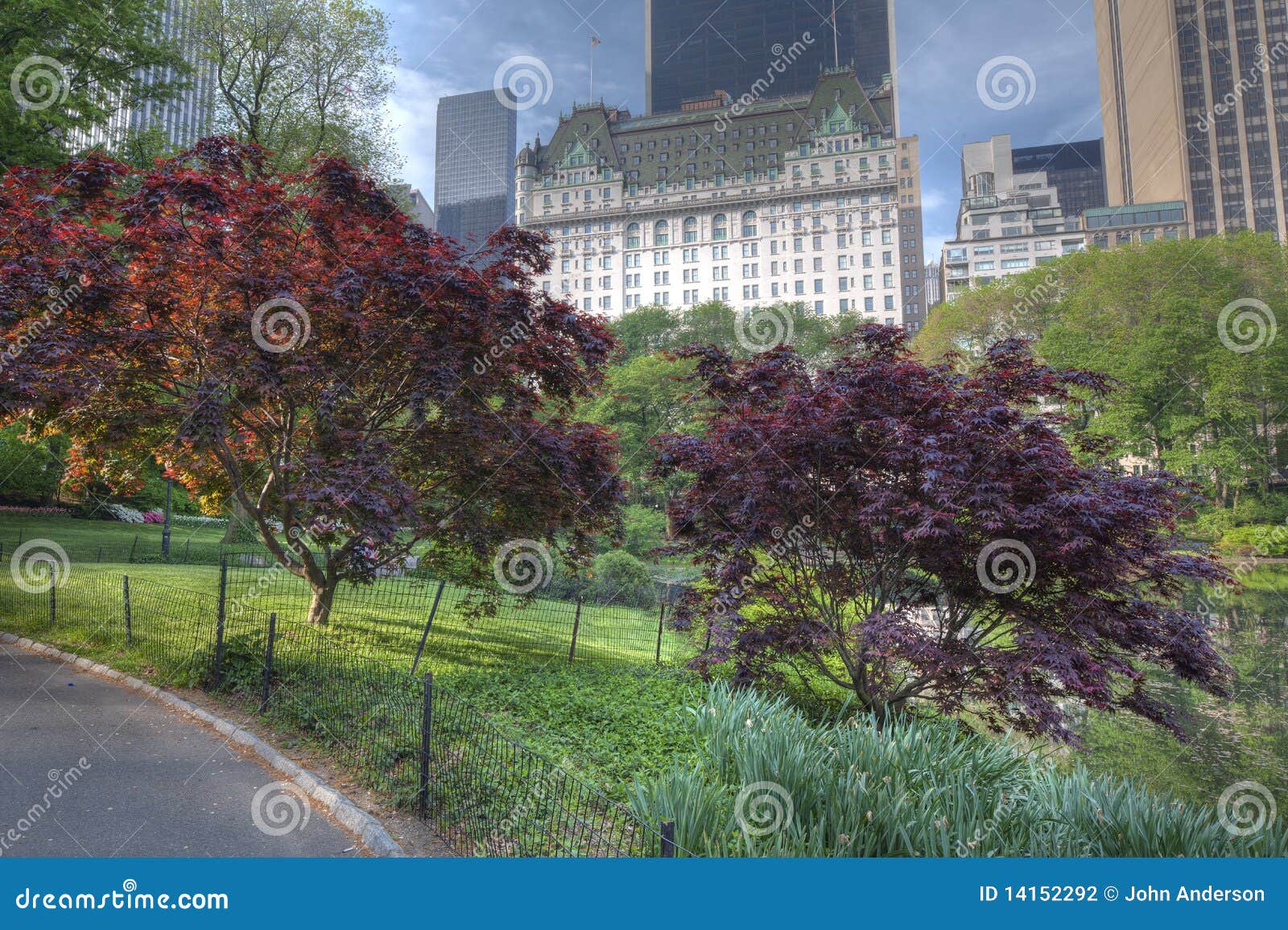 Spring in Central Park stock photo. Image of early, morning - 14152292