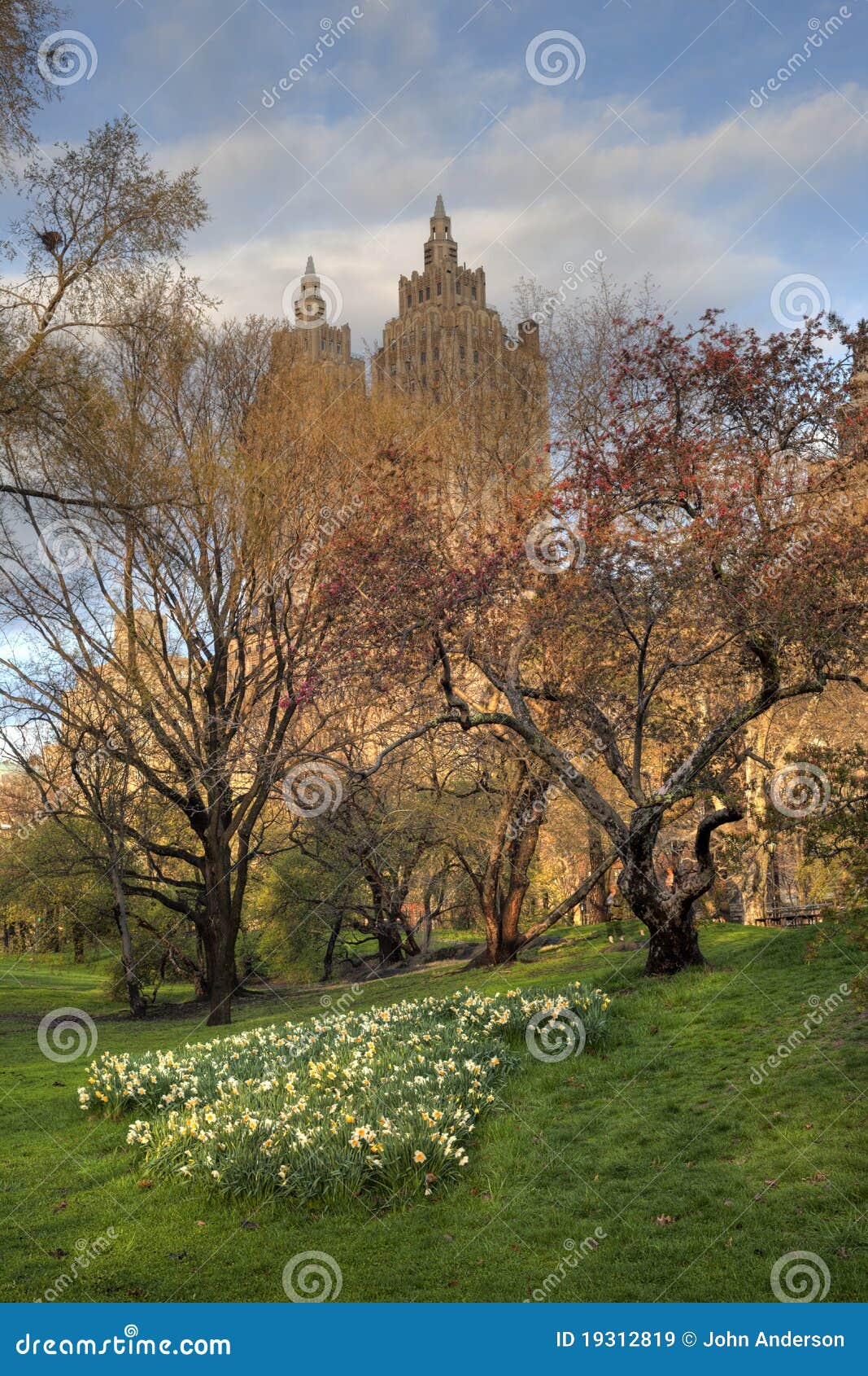 Spring in Central Park stock image. Image of grass, york - 19312819