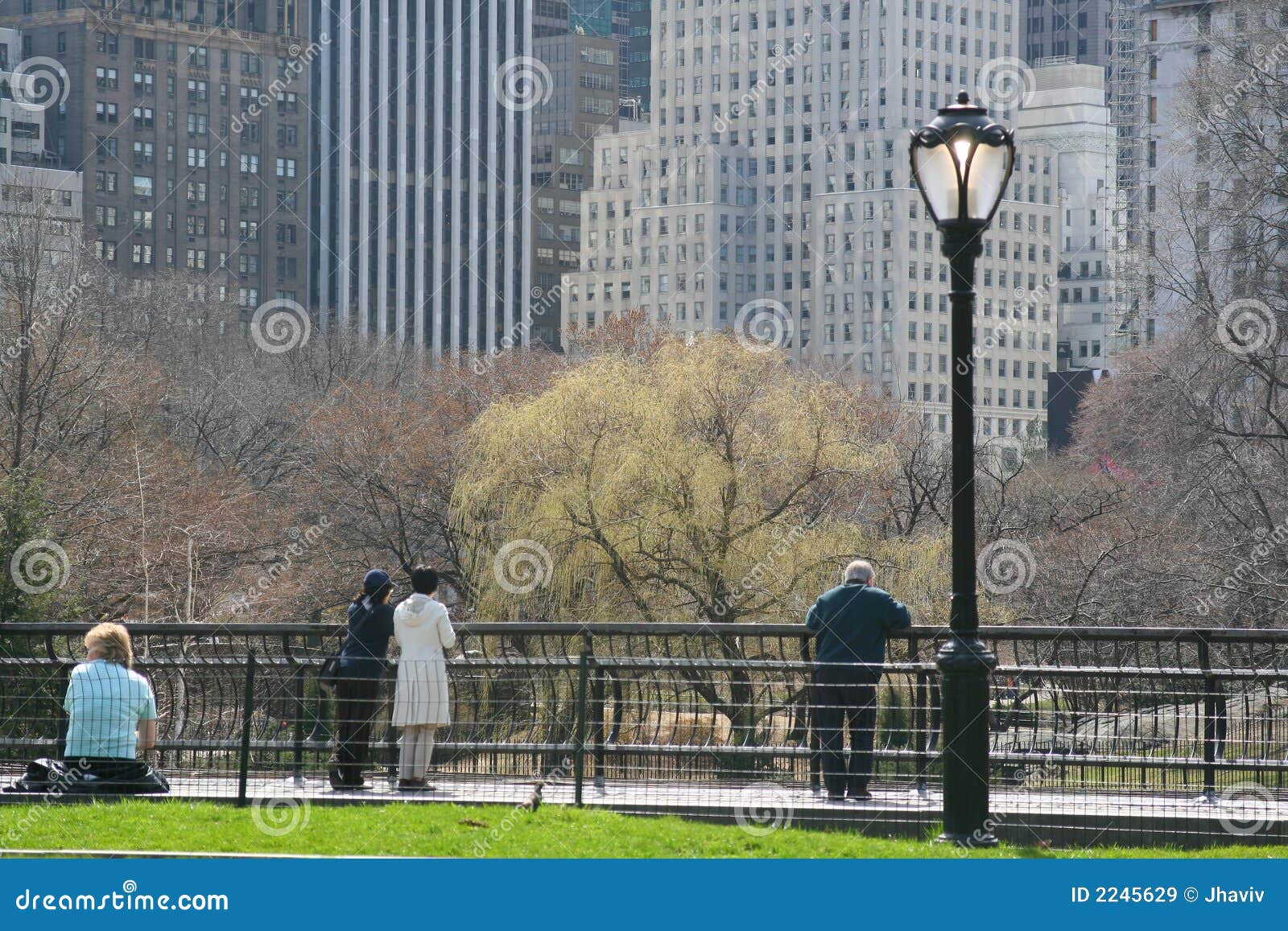 Spring in Central Park editorial stock image. Image of scenic - 2245629
