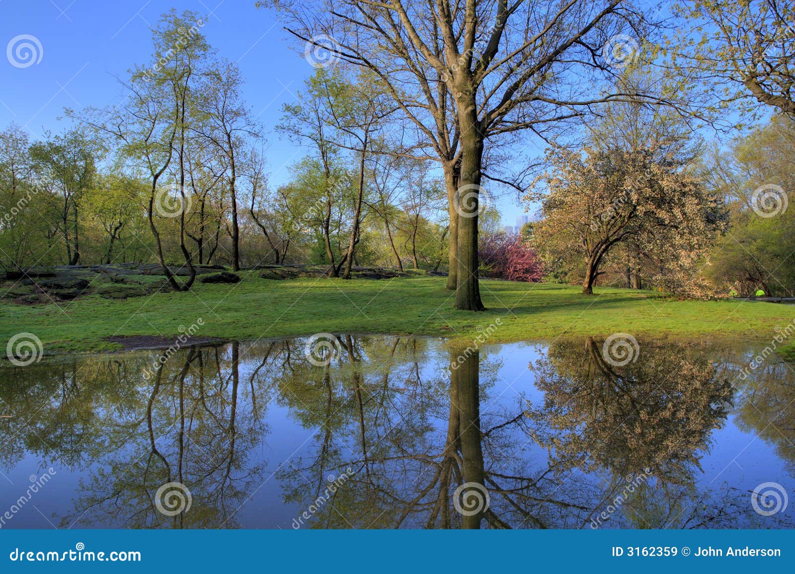 Spring in Central Park stock image. Image of spring, blue - 3162359