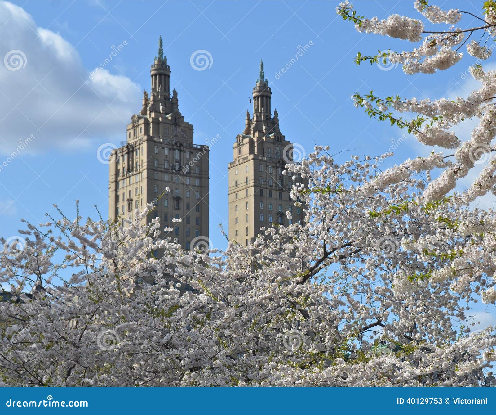 Spring in Central Park, Manhattan, New York. Stock Image - Image of ...