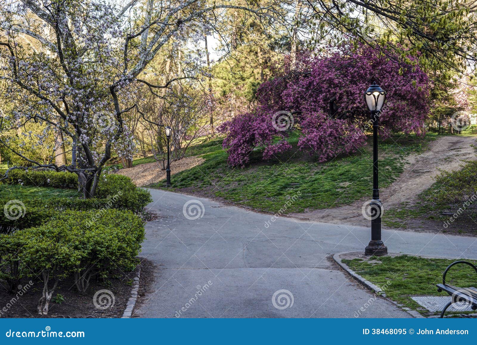 Spring in Central PArk stock image. Image of lamp, city - 38468095