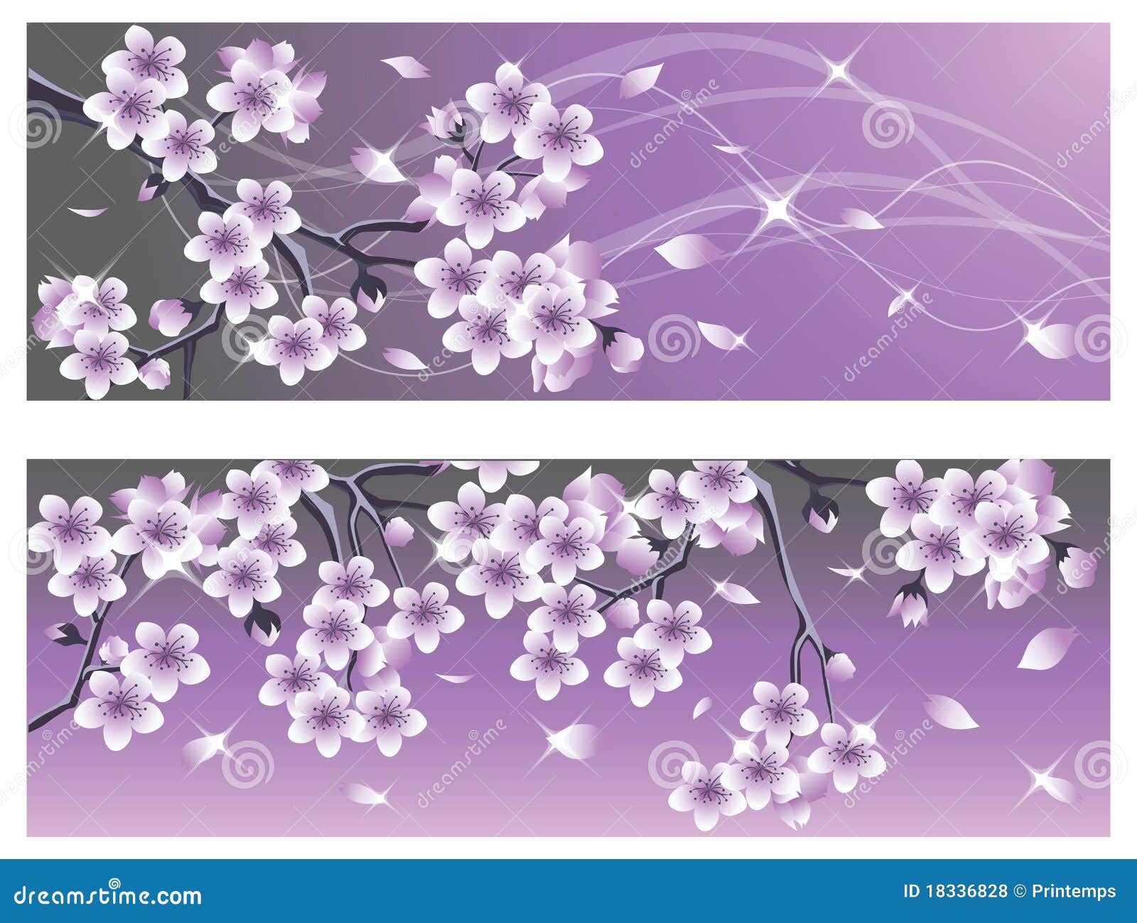 Spring Cherry Blossom Banner. Stock Illustration - Illustration of ...