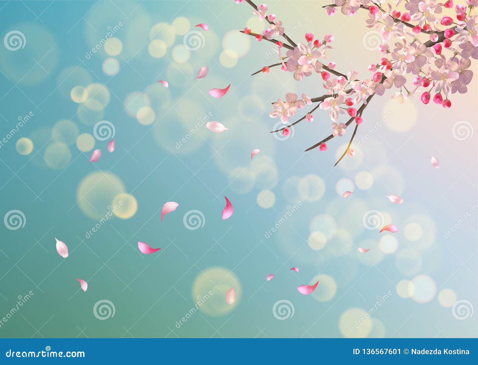Spring Cherry Blossom stock vector. Illustration of background - 136567601