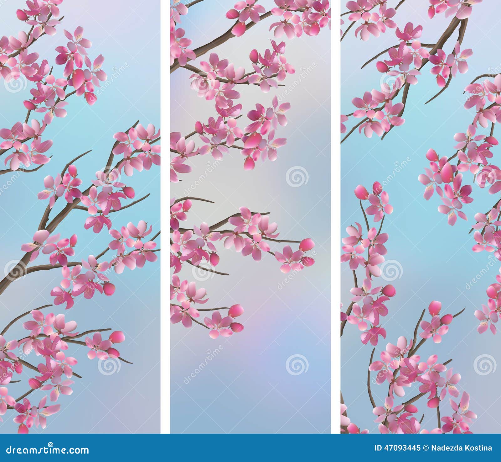 Spring Cherry Sakura Banners Stock Image - Image of garden, flora: 47093445