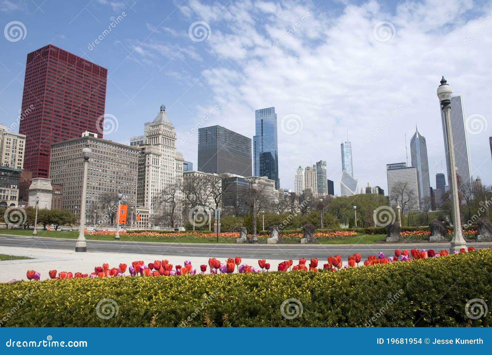 Spring in Chicago stock photo. Image of flowers, pink - 19681954